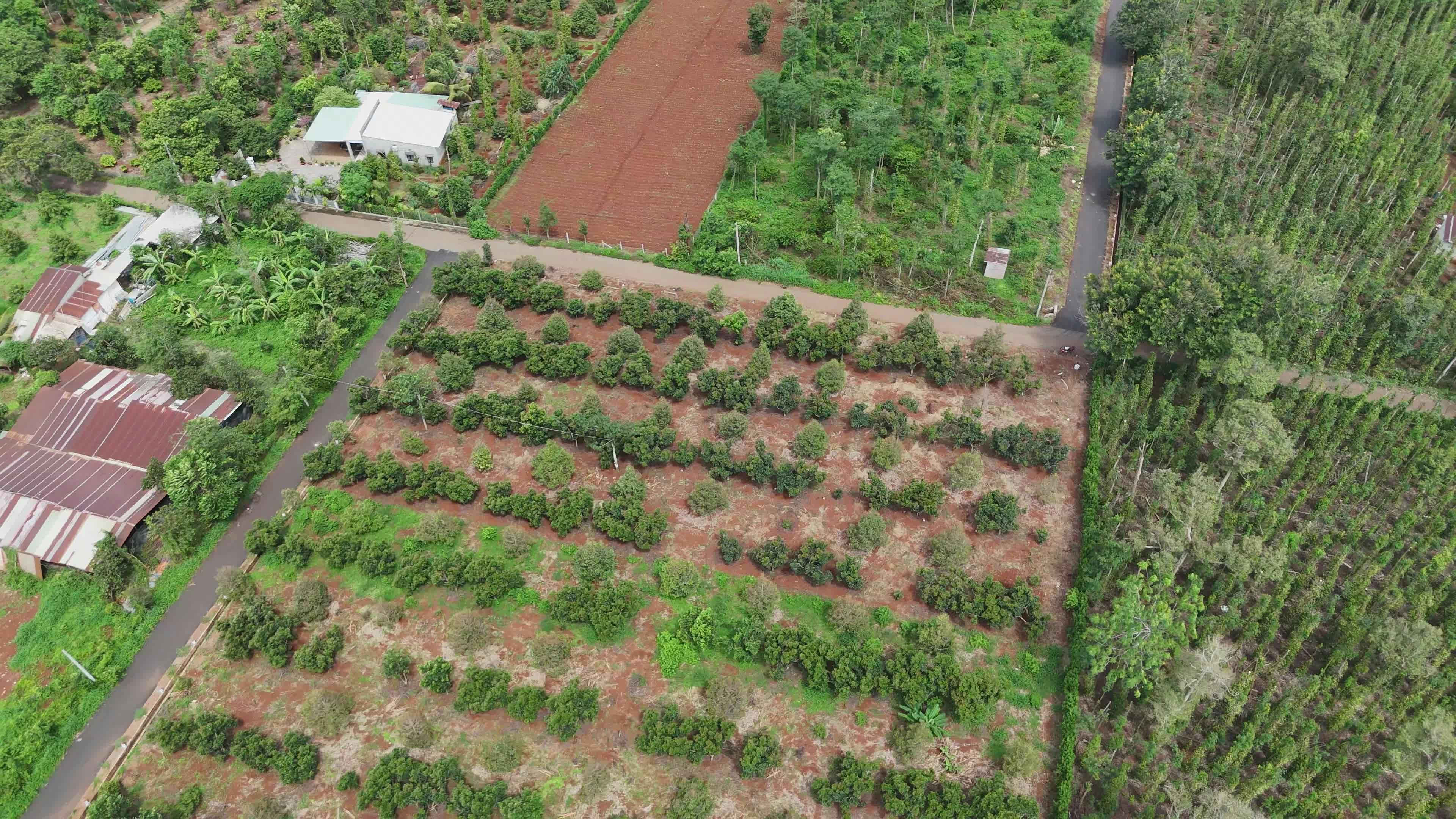 Easyanticheat Setup.Exe Nu Terra Videos, Download The BEST Free 4k ...