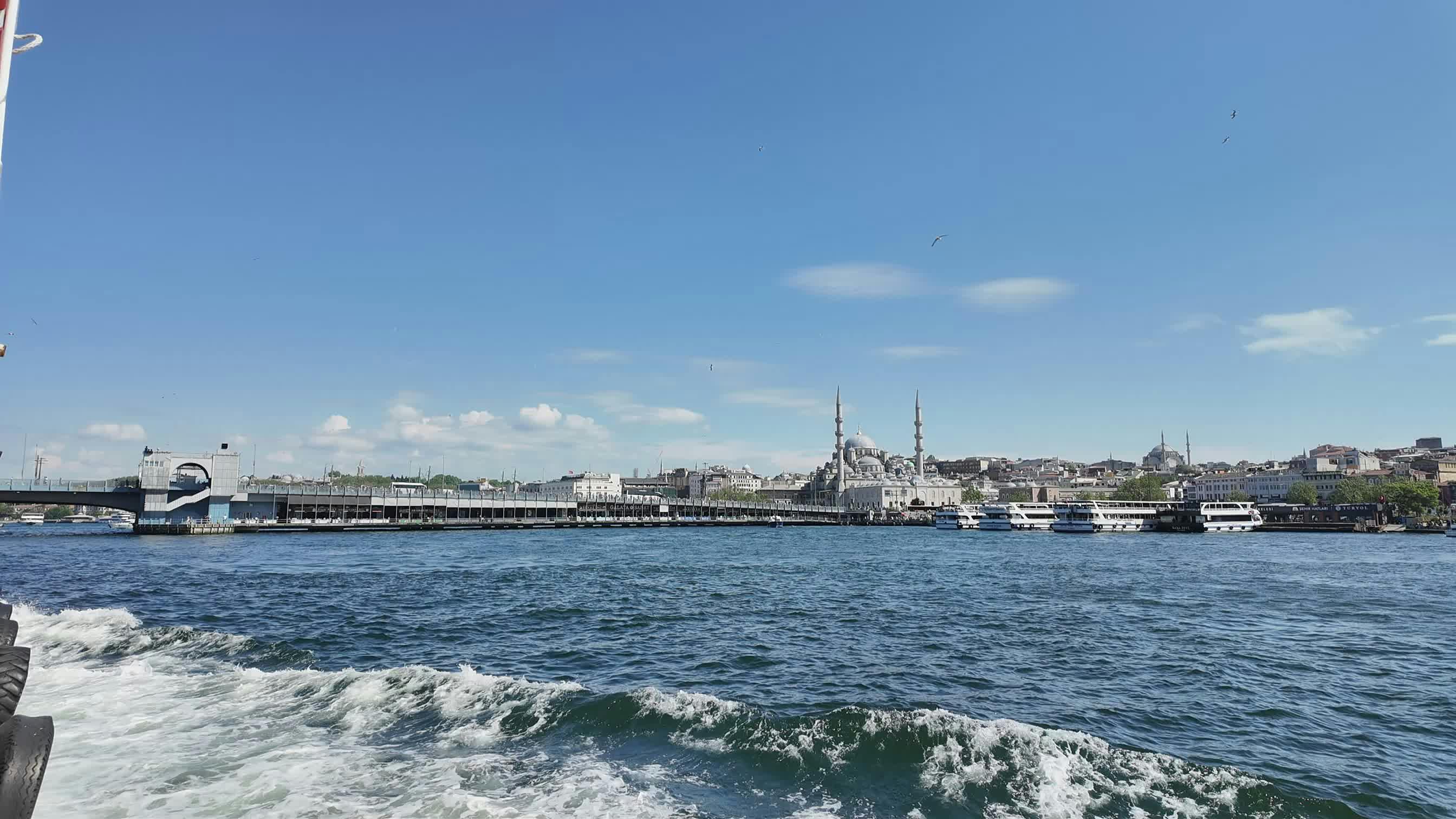 Bosphorus Ferry and Golden Horn Scene Free Stock Video Footage, Royalty ...