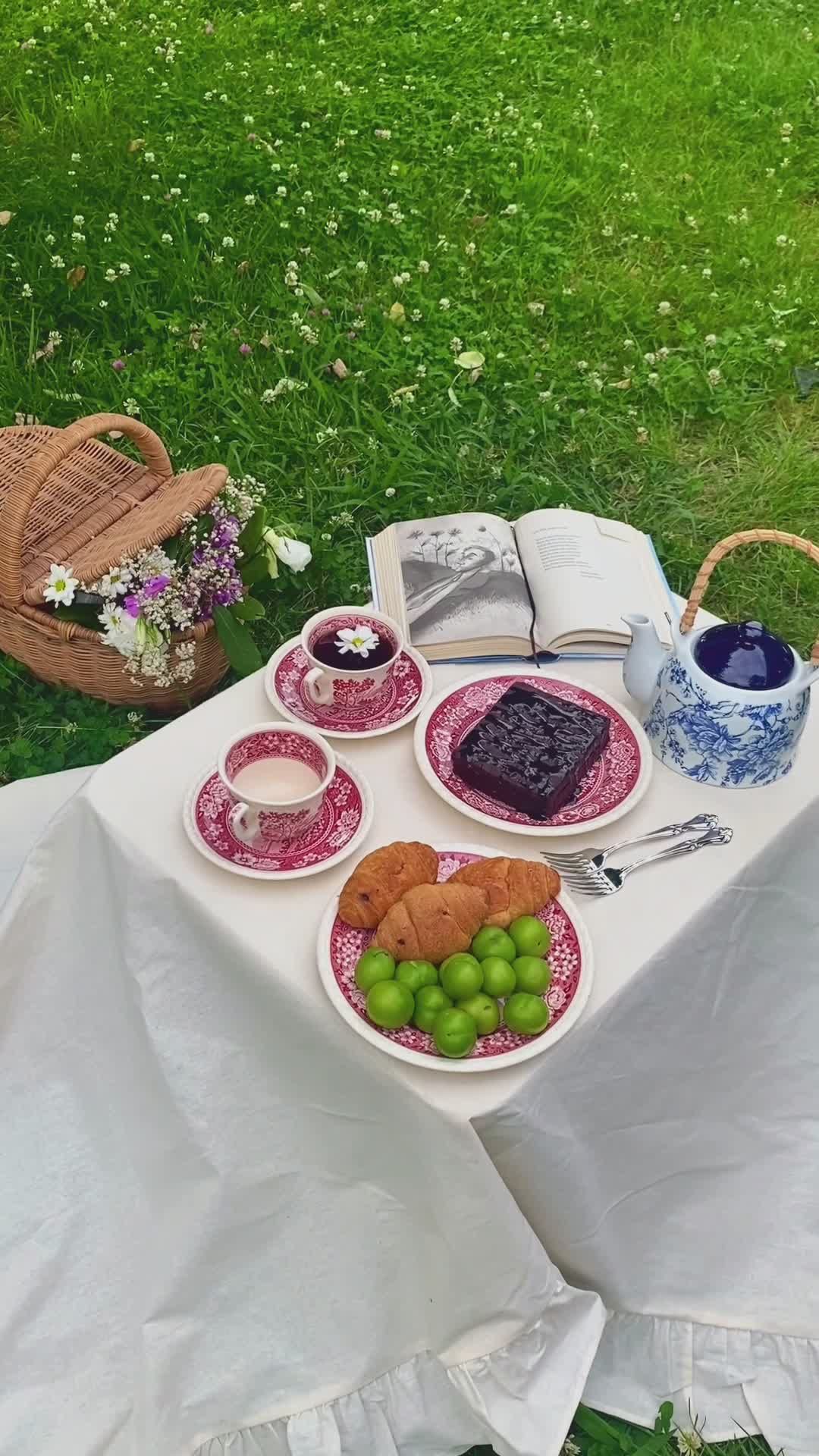 Charming Outdoor Picnic with Tea and Croissants Free Stock Video ...