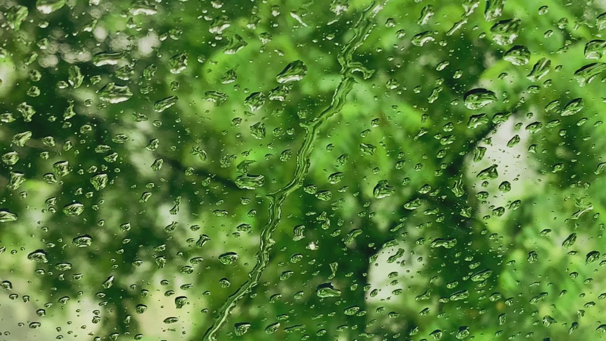 Rainy Day Videos, Download The BEST Free 4k Stock Video Footage & Rainy ...