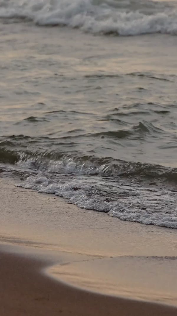 Hidden+Camera+Naturist+Beach Videos, Download The BEST Free 4k Stock Video Footage & Hidden ...