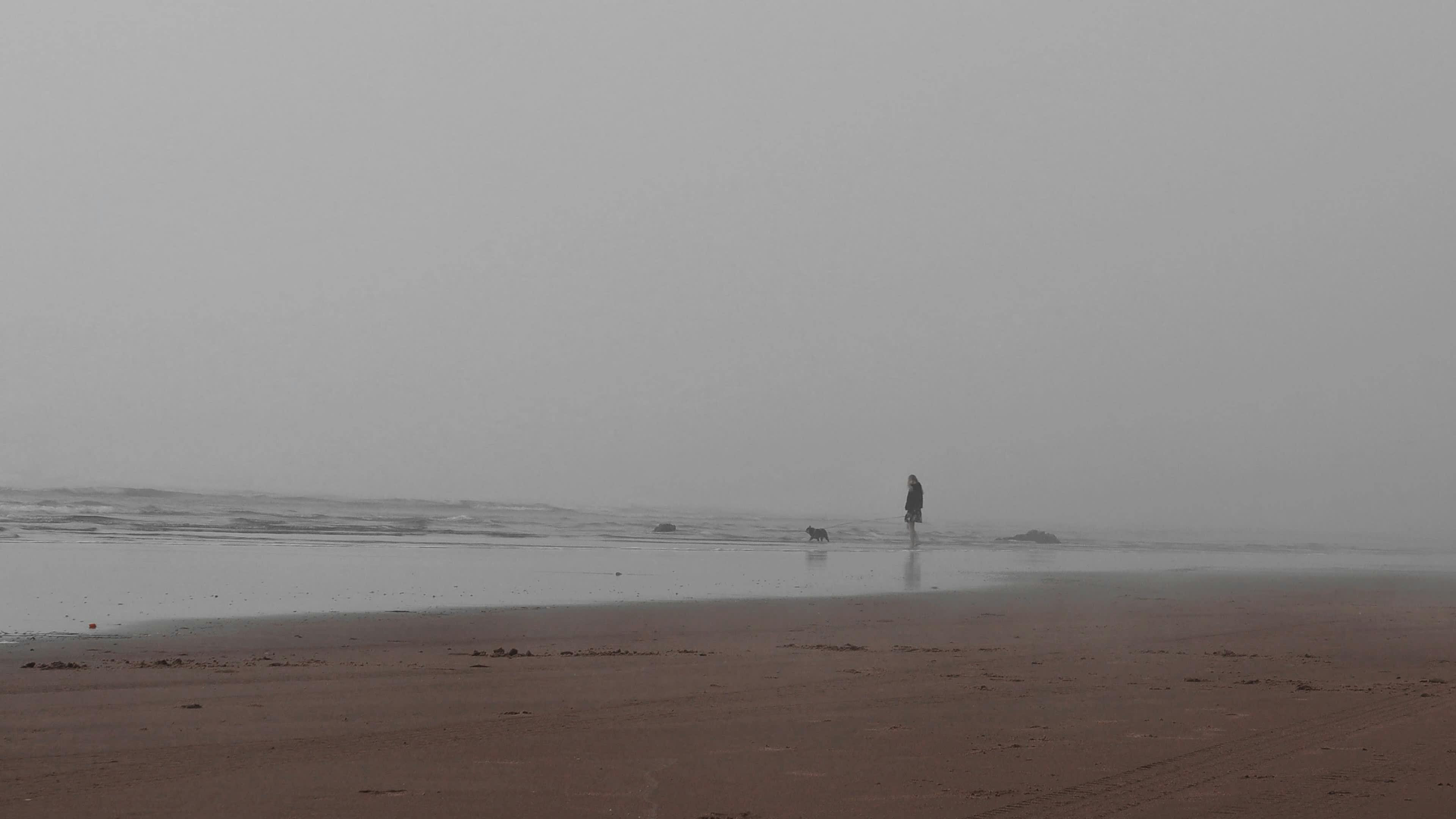 Sample Bare Videos, Download The BEST Free 4k Stock Video Footage ...