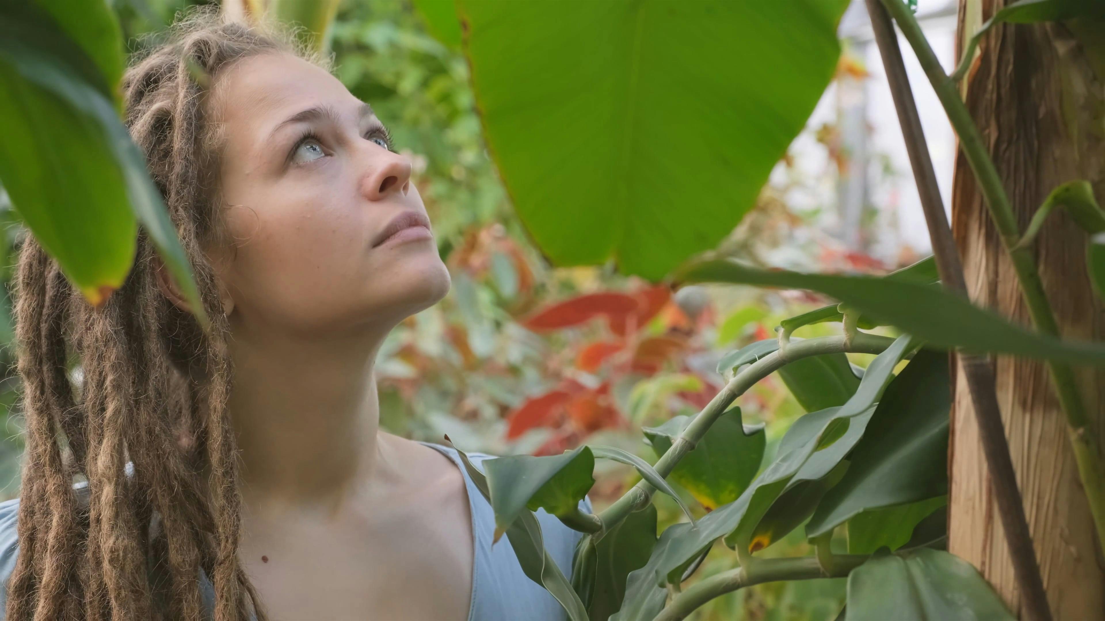 A Woman Touching The Smooth Surface Of The Leaves · Free Stock Video