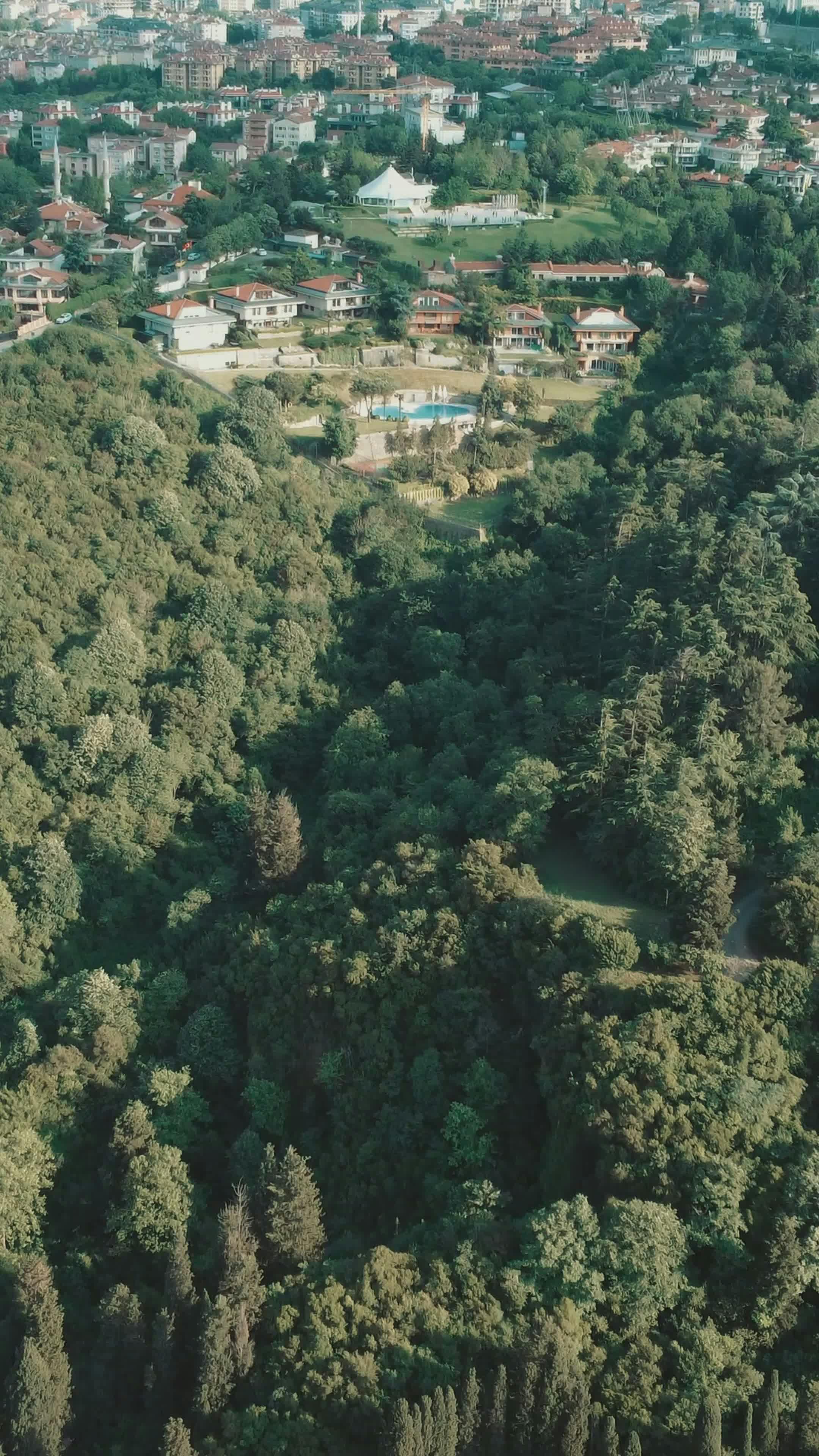 Habitation Basics Videos, Download The BEST Free 4k Stock Video Footage ...