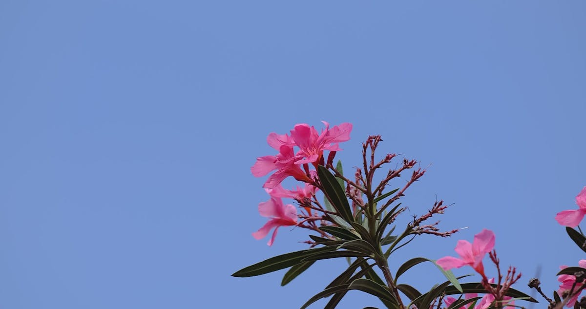 Beautiful Asses Videos, Download The BEST Free 4k Stock Video Footage ...