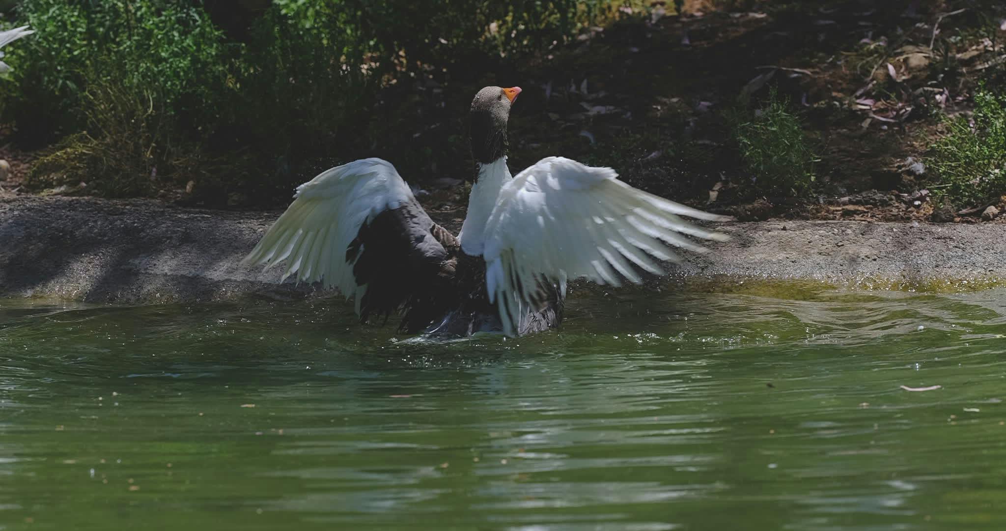 Girl+Spreading+Cheeks Videos, Download The BEST Free 4k Stock Video ...