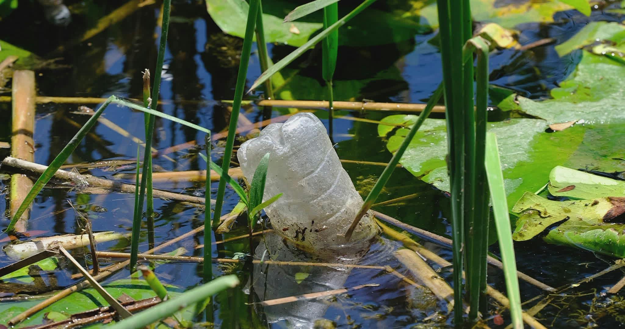 Plastic Pollution in Natural Water Body Free Stock Video Footage ...