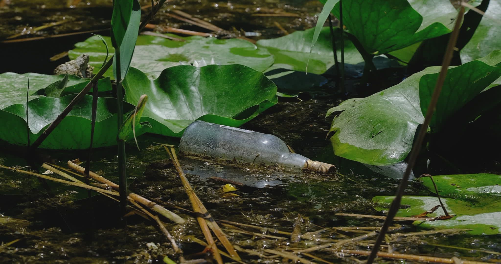Plastic Pollution Among Pond Lilies Shot Free Stock Video Footage ...