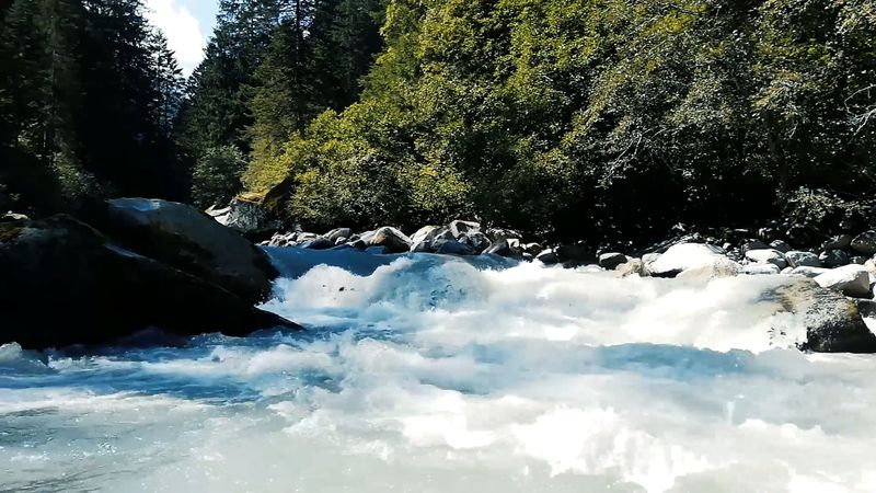 Nature Sounds Videos, Download The BEST Free 4k Stock Video Footage ...