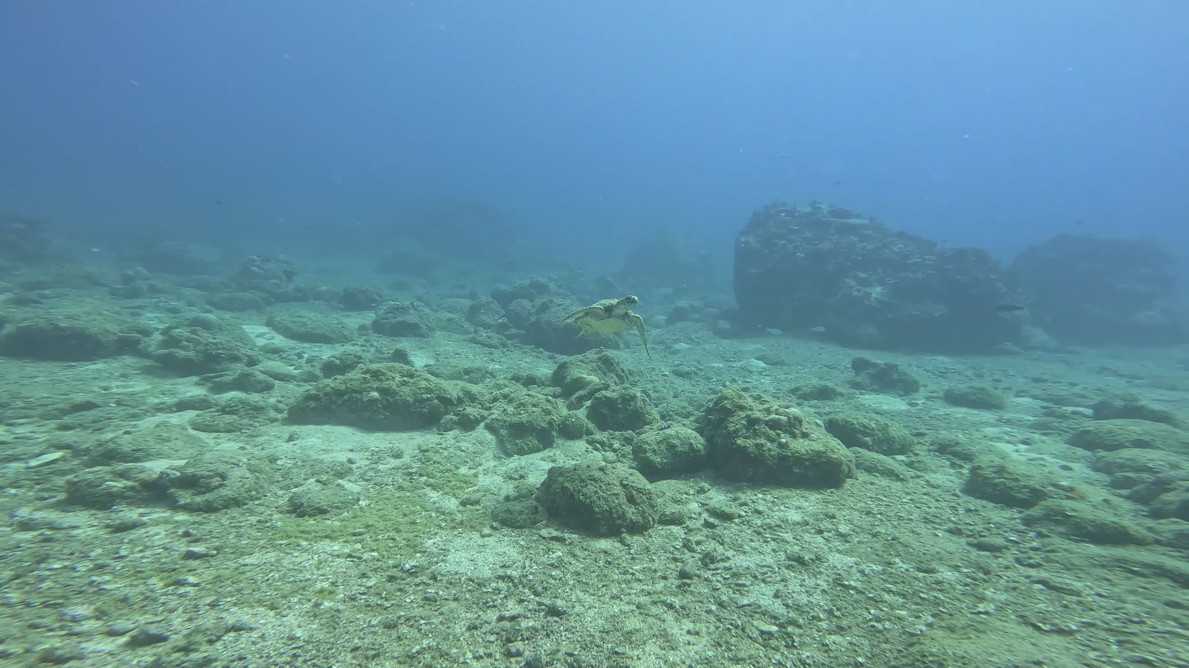 Underwater Water Videos, Download The BEST Free 4k Stock Video Footage ...