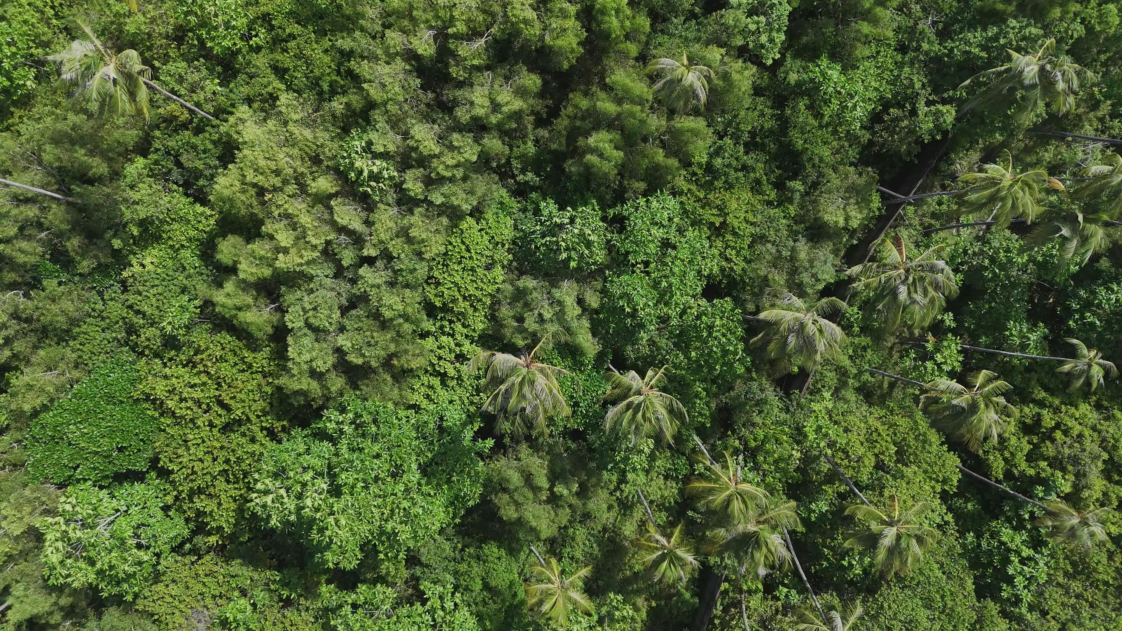 Raw Footage Videos, Download The BEST Free 4k Stock Video Footage & Raw ...