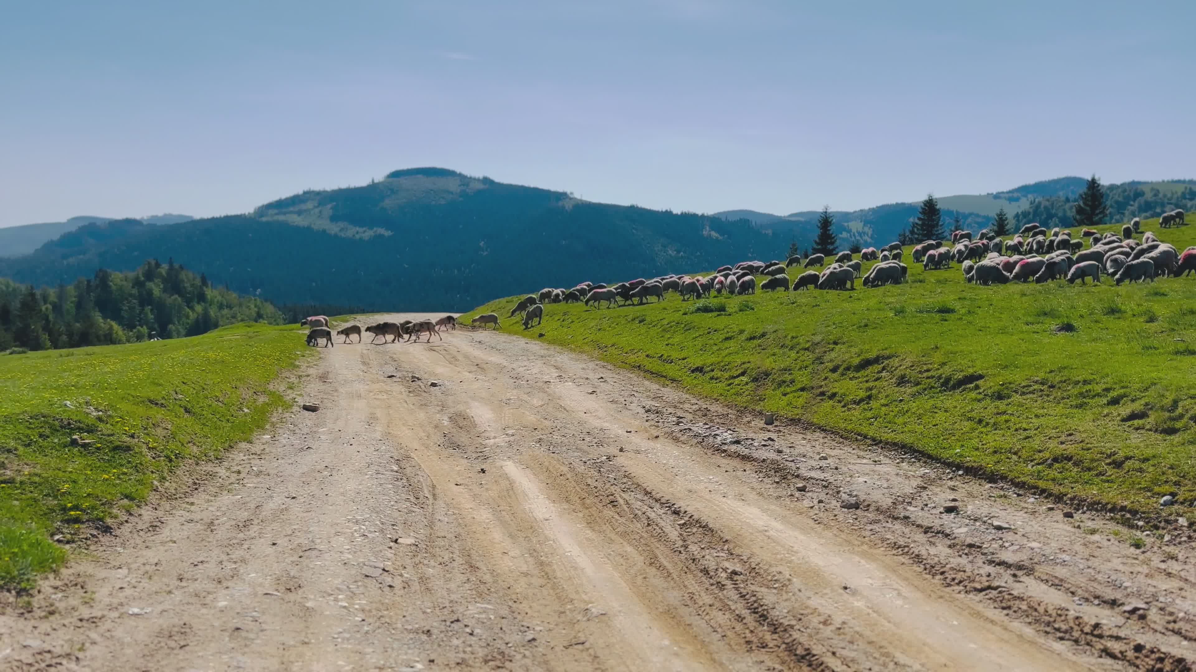 Visitar Romania Videos, Download The BEST Free 4k Stock Video Footage ...