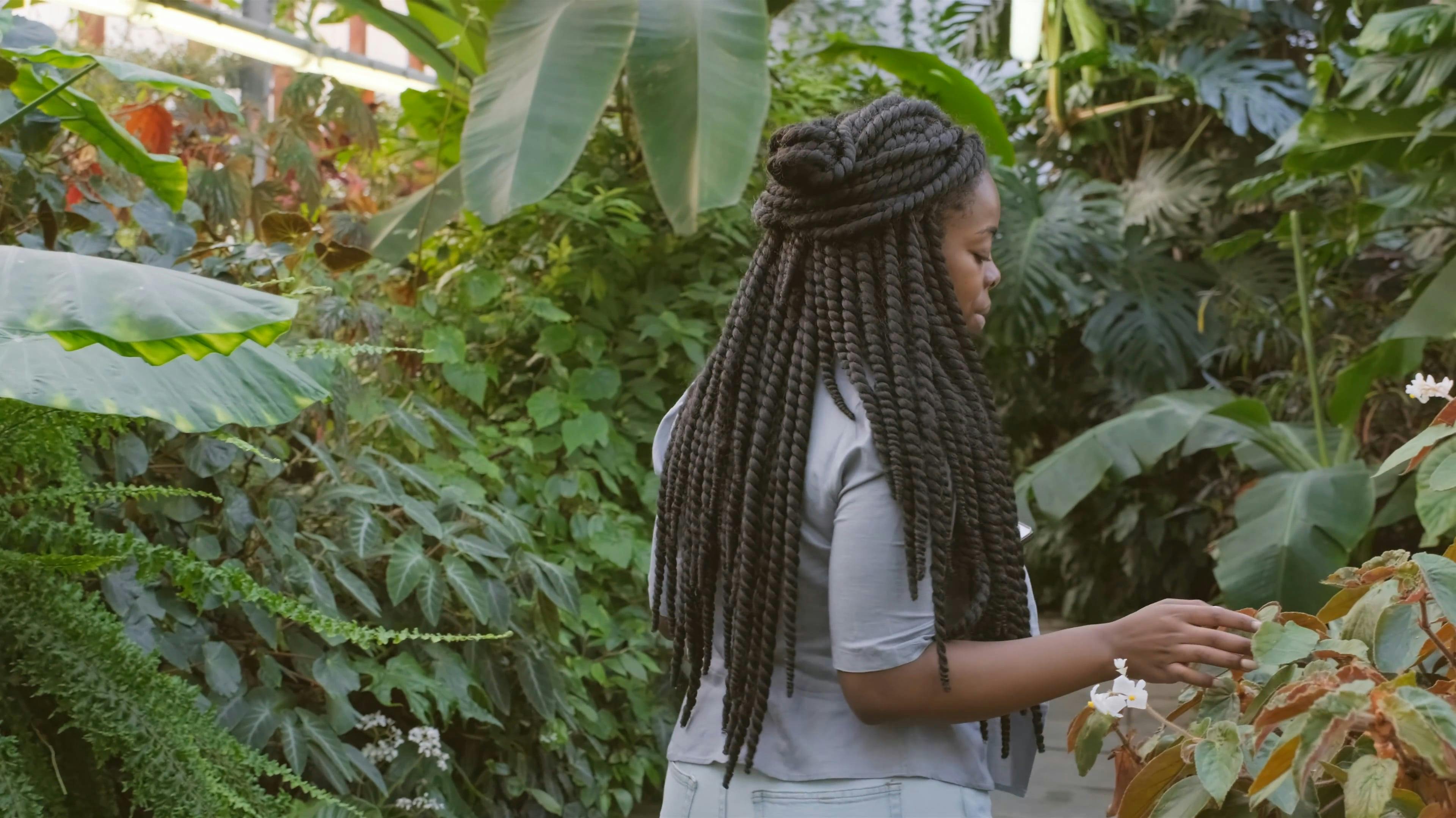 A Man Video Recording The Plants In A Greenhouse Using A Smartphone ...