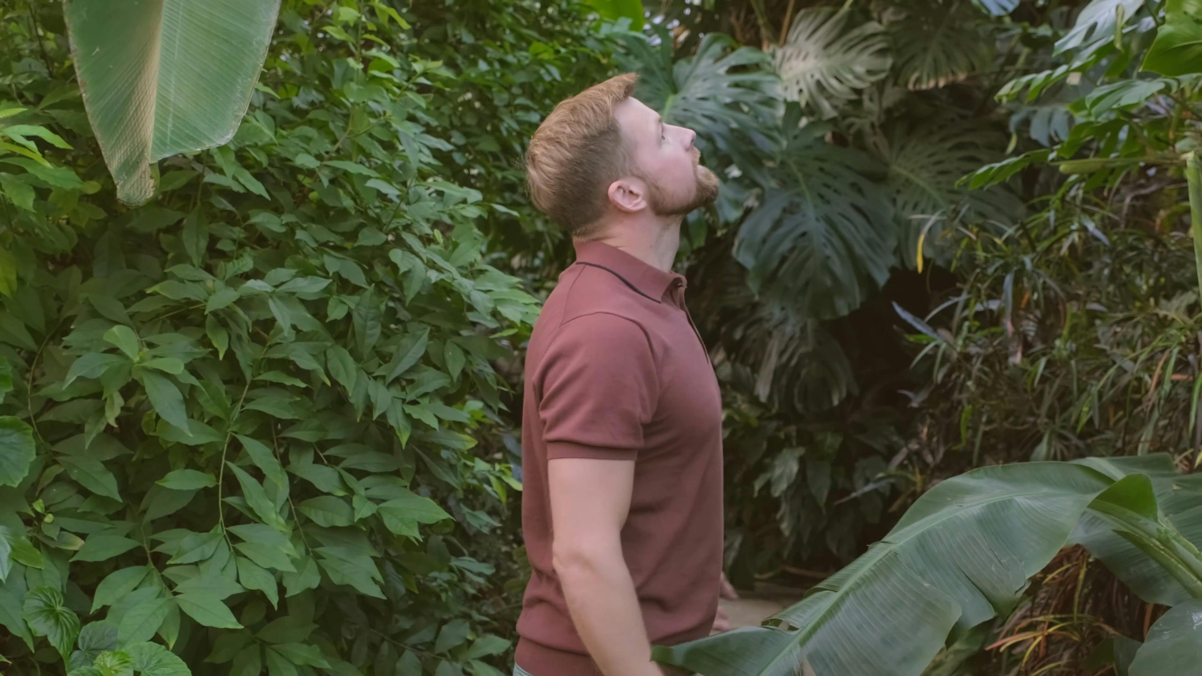 Man Appreciating The Beauty Of Nature · Free Stock Video