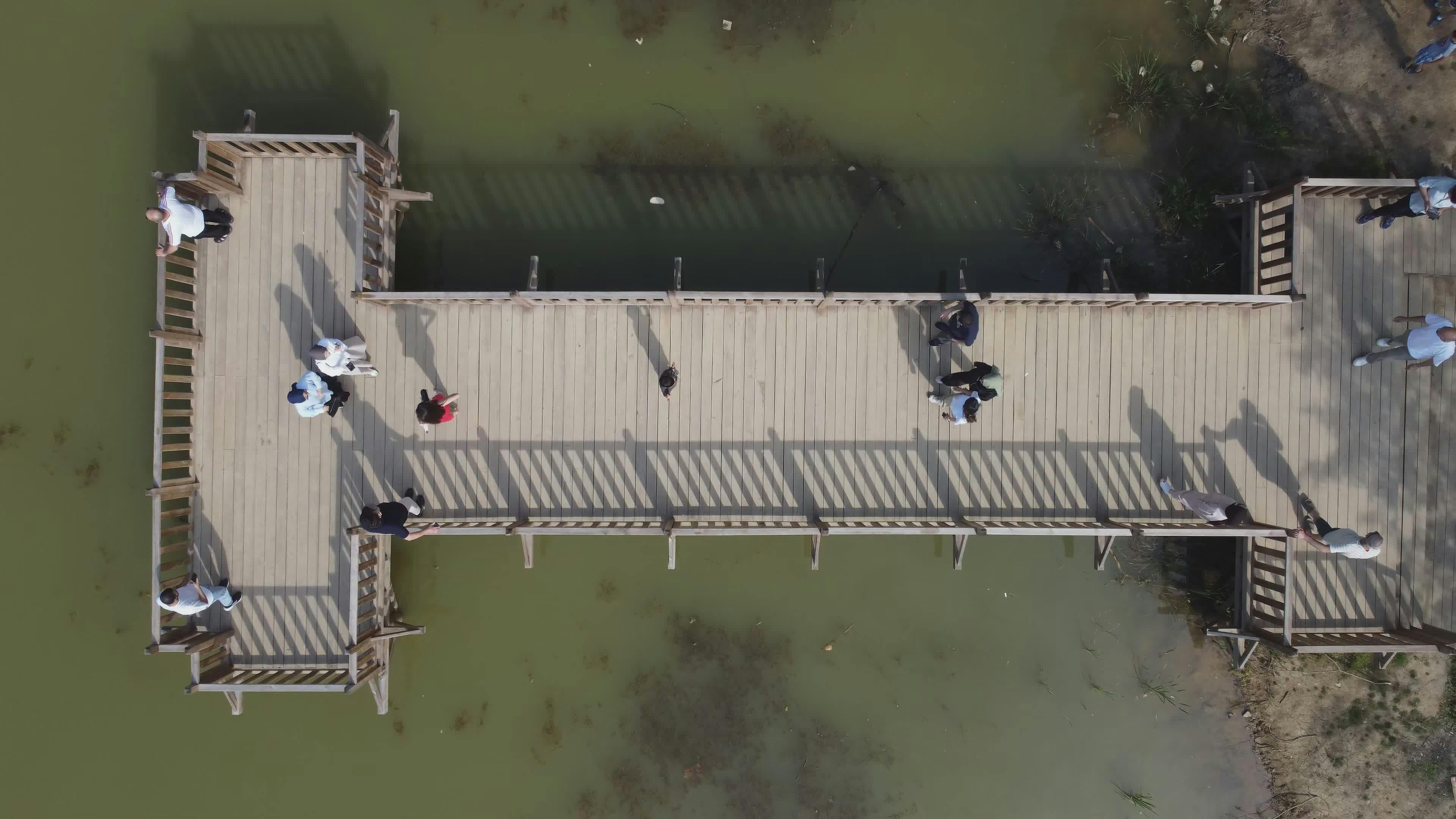 Connecting Pathway Videos, Download The BEST Free 4k Stock Video ...