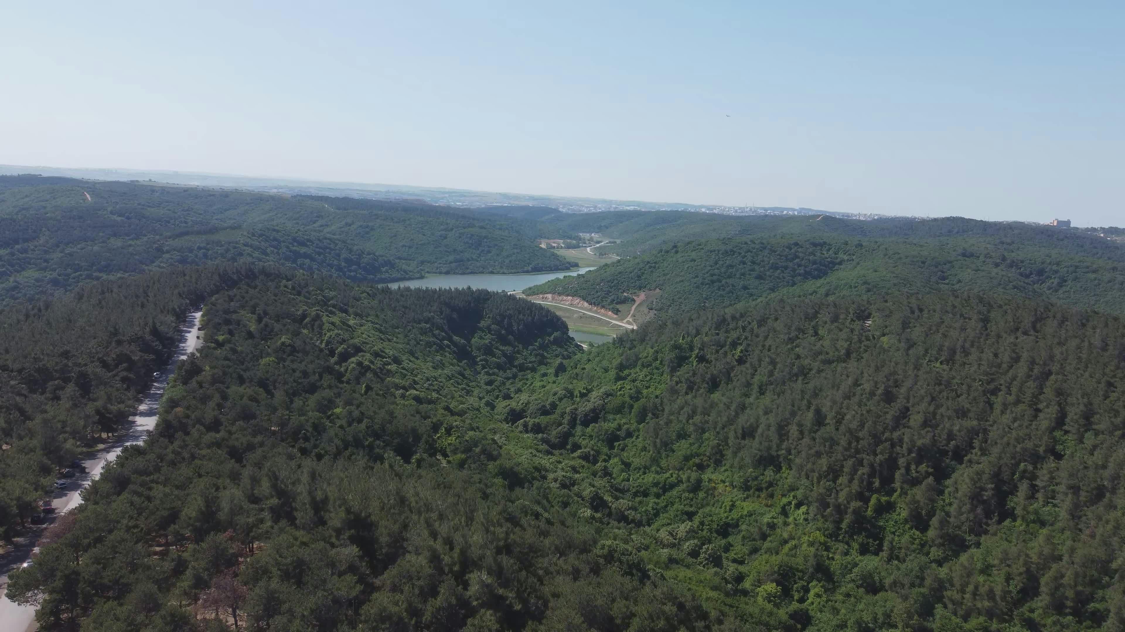 Video Hutan Alam 4k Videos, Download The BEST Free 4k Stock Video ...