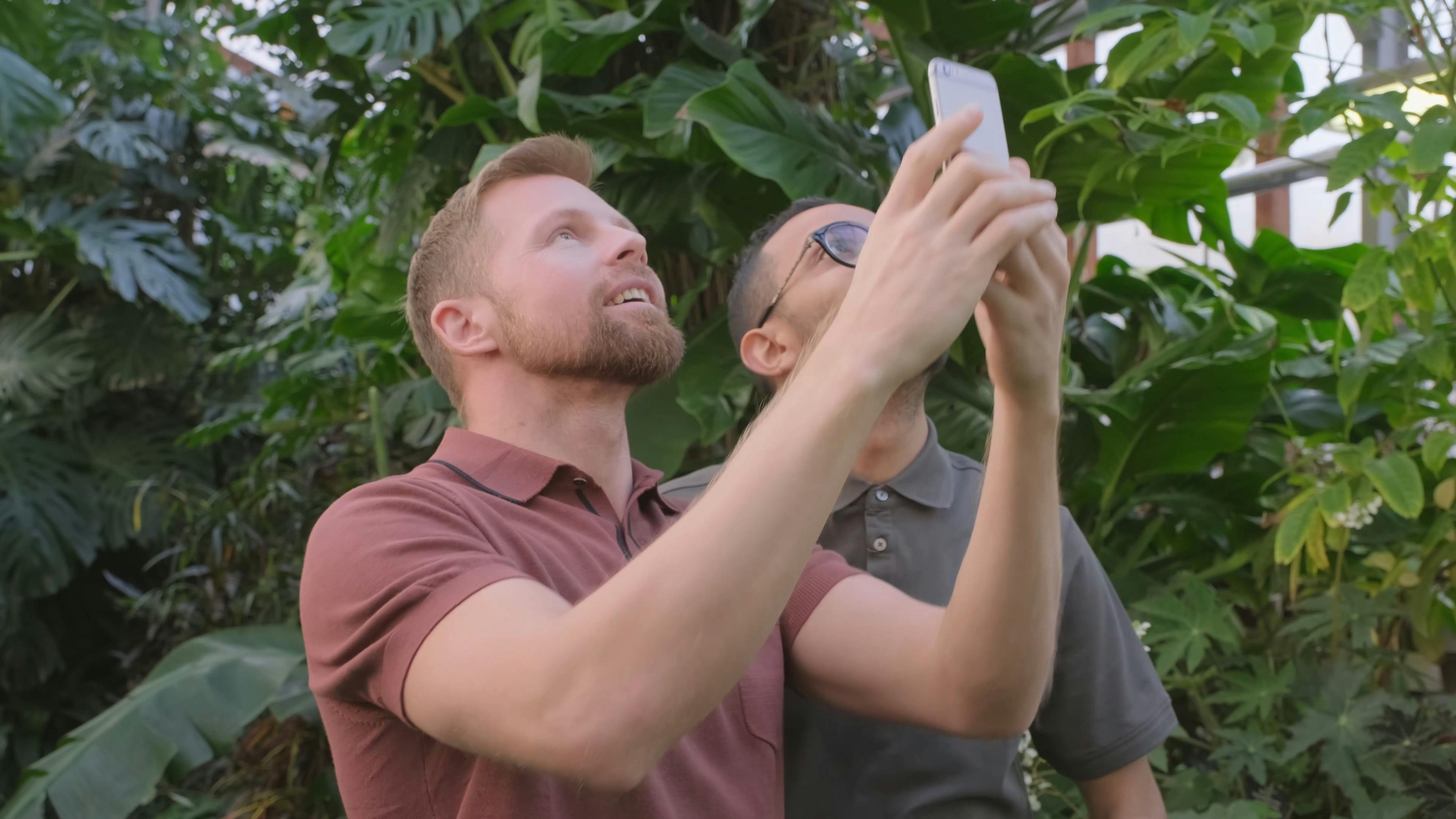 Two men Taking Pictures Outdoor Free Stock Video Footage, Royalty-Free ...