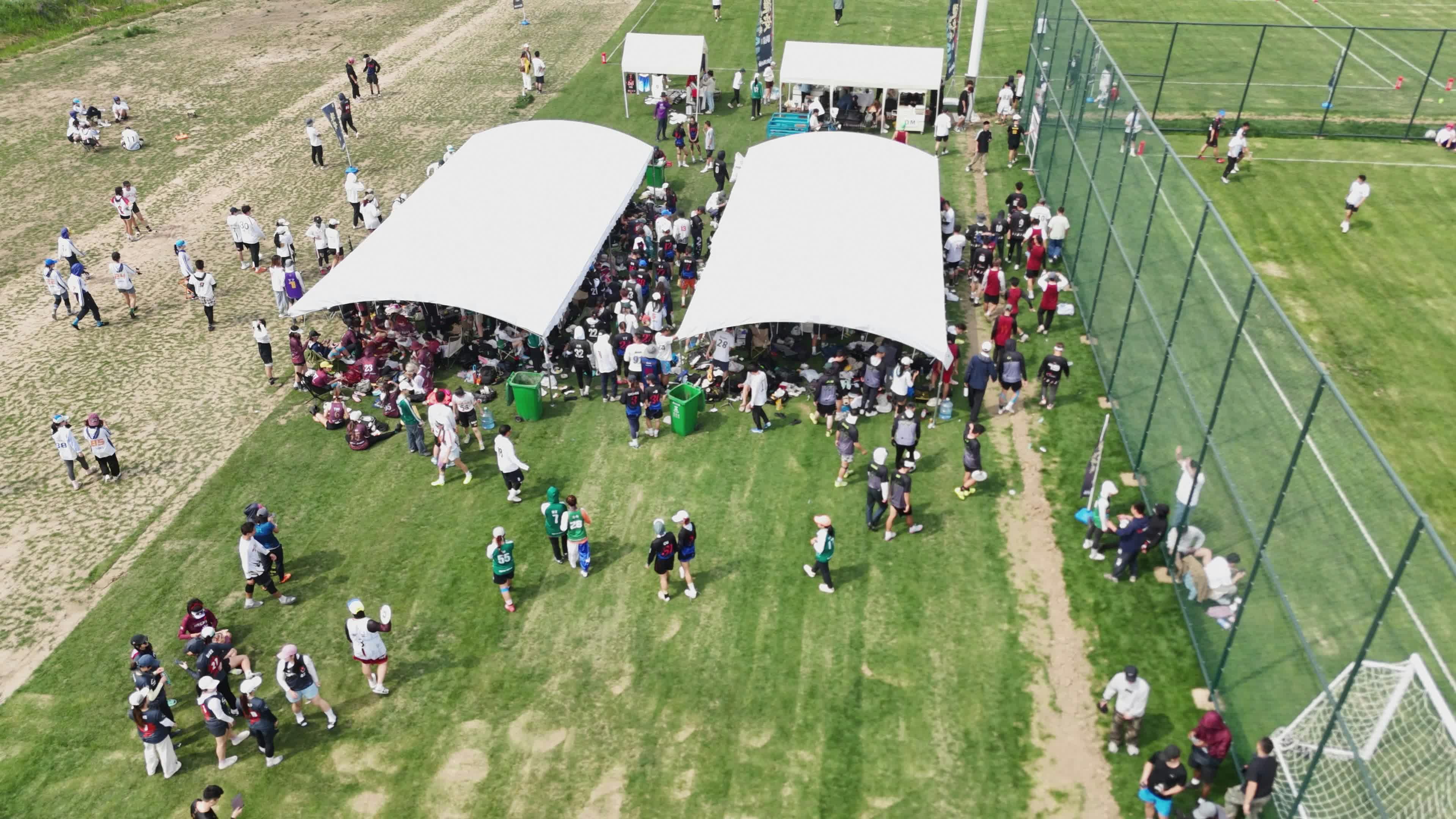 Family In A Picnic Videos, Download The BEST Free 4k Stock Video ...