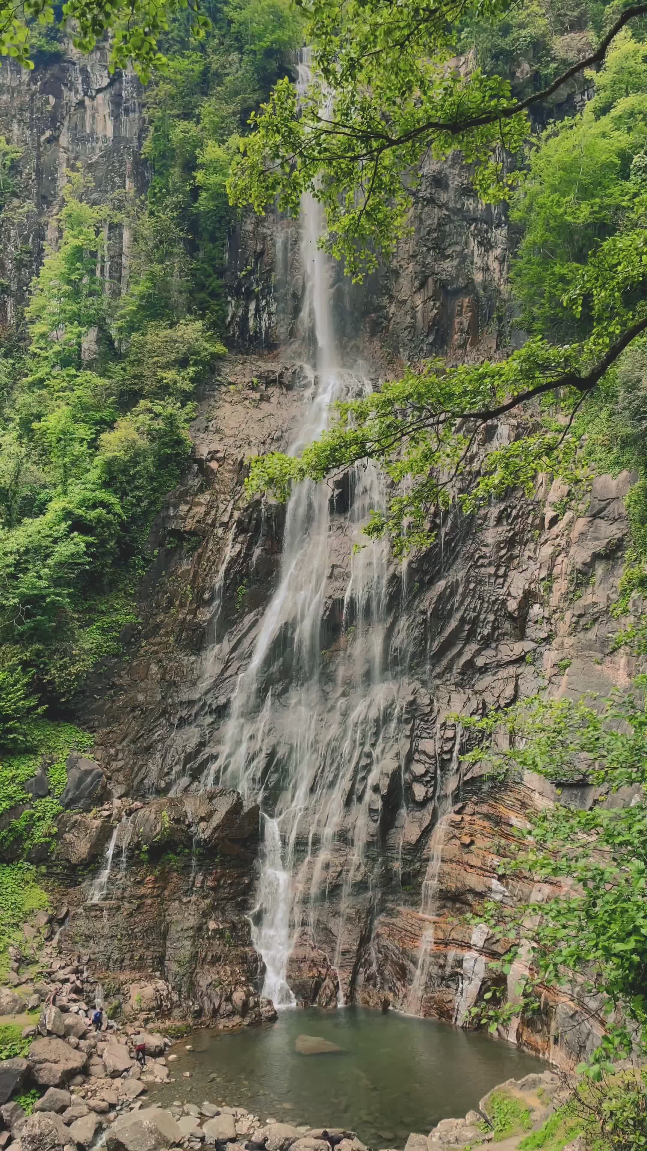 Scenic Waterfall Walkthrough in Tropical Forest Free Stock Video ...