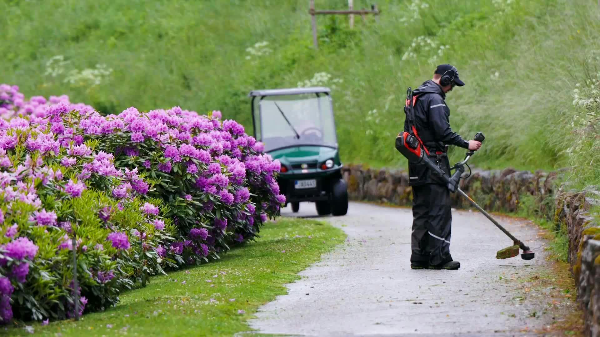 Worker Trimming Garden Path with Lush Flowers Free Stock Video Footage ...