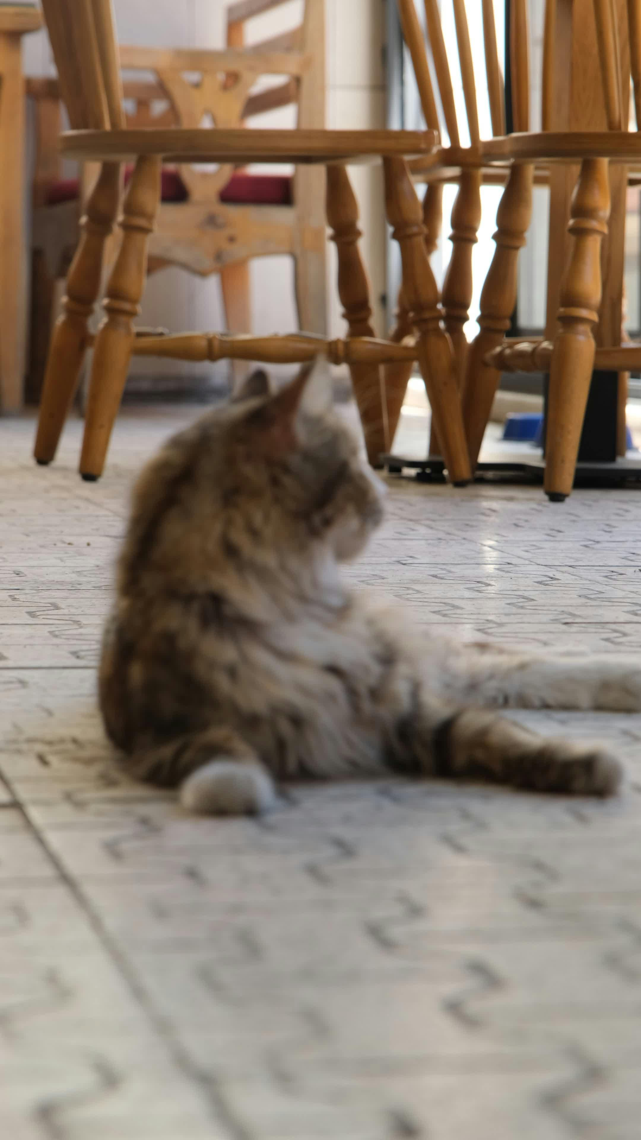 Sturdy Chair Videos, Download The BEST Free 4k Stock Video Footage ...