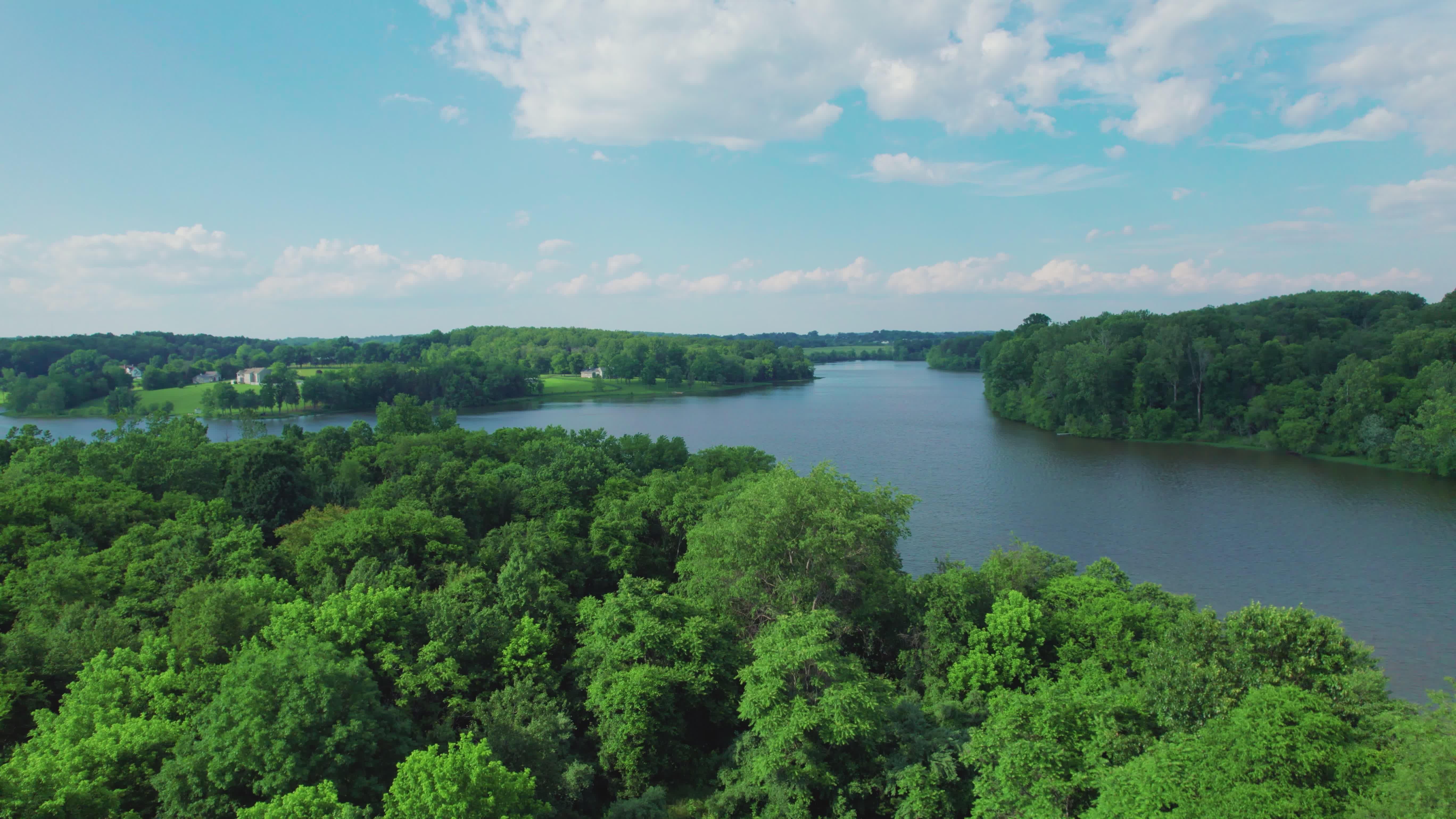 Scenic Aerial View of Lush Lakefront Landscape Free Stock Video Footage ...