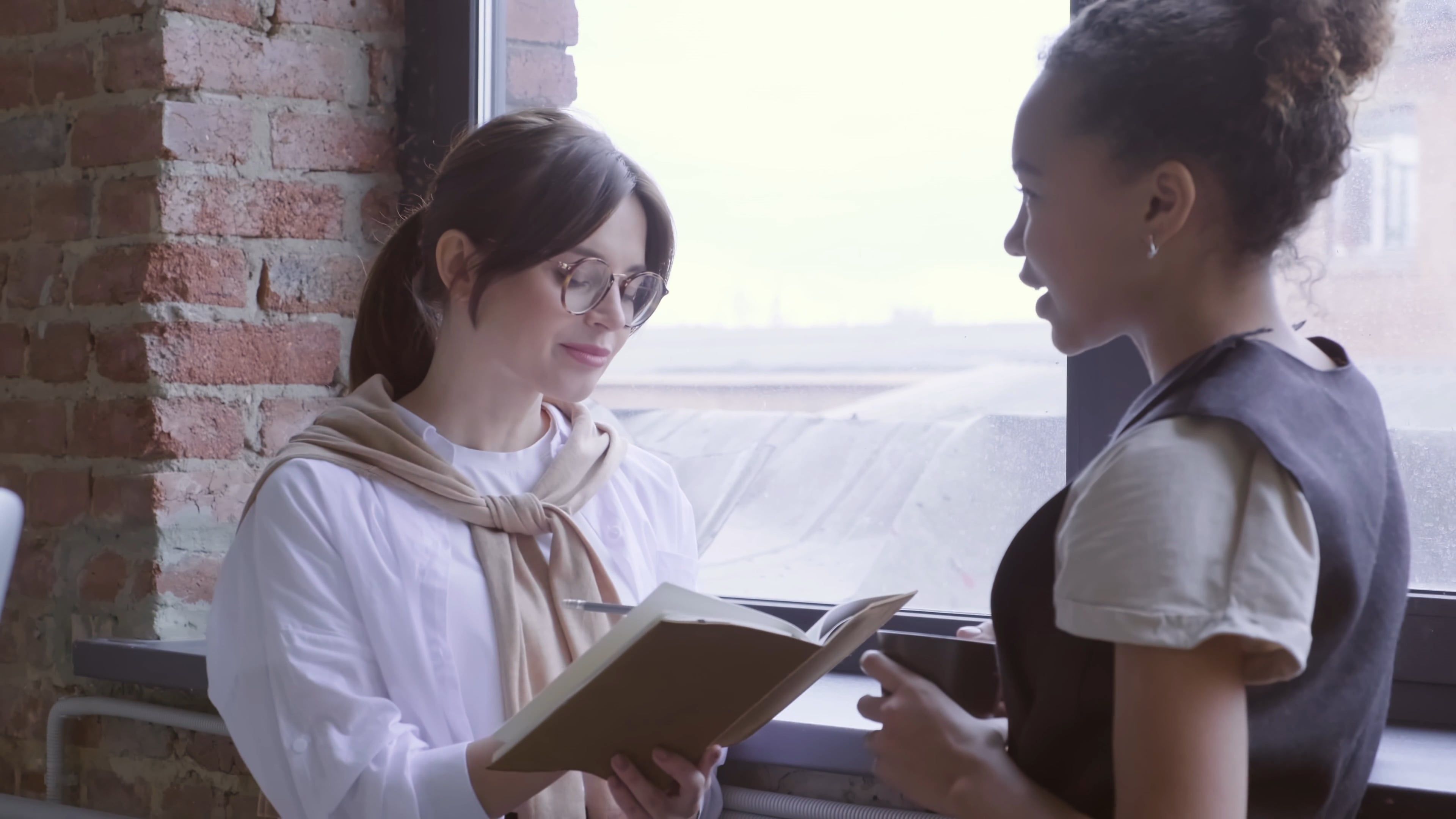 A Woman Interviewing Another Woman By The Window · Free Stock Video