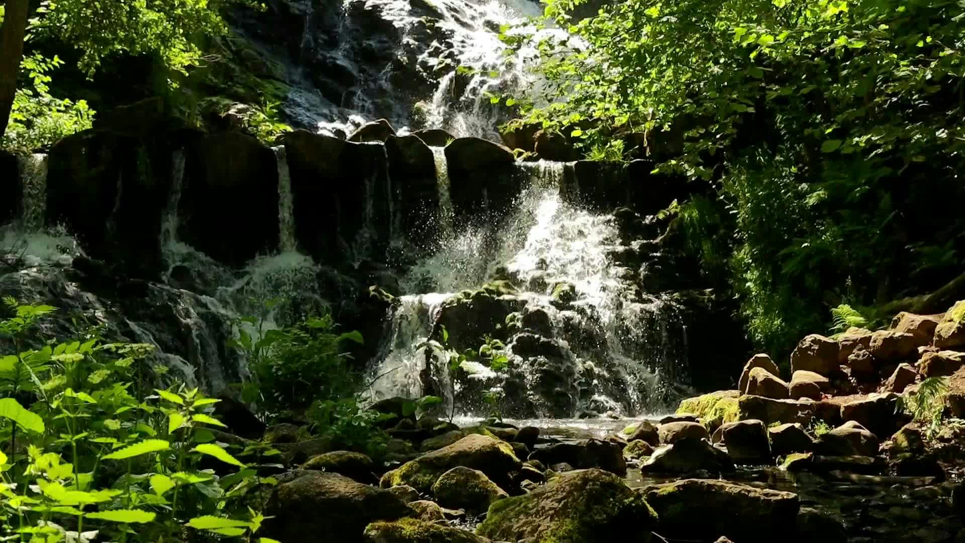 Zen Knop Videos, Download The BEST Free 4k Stock Video Footage & Zen ...