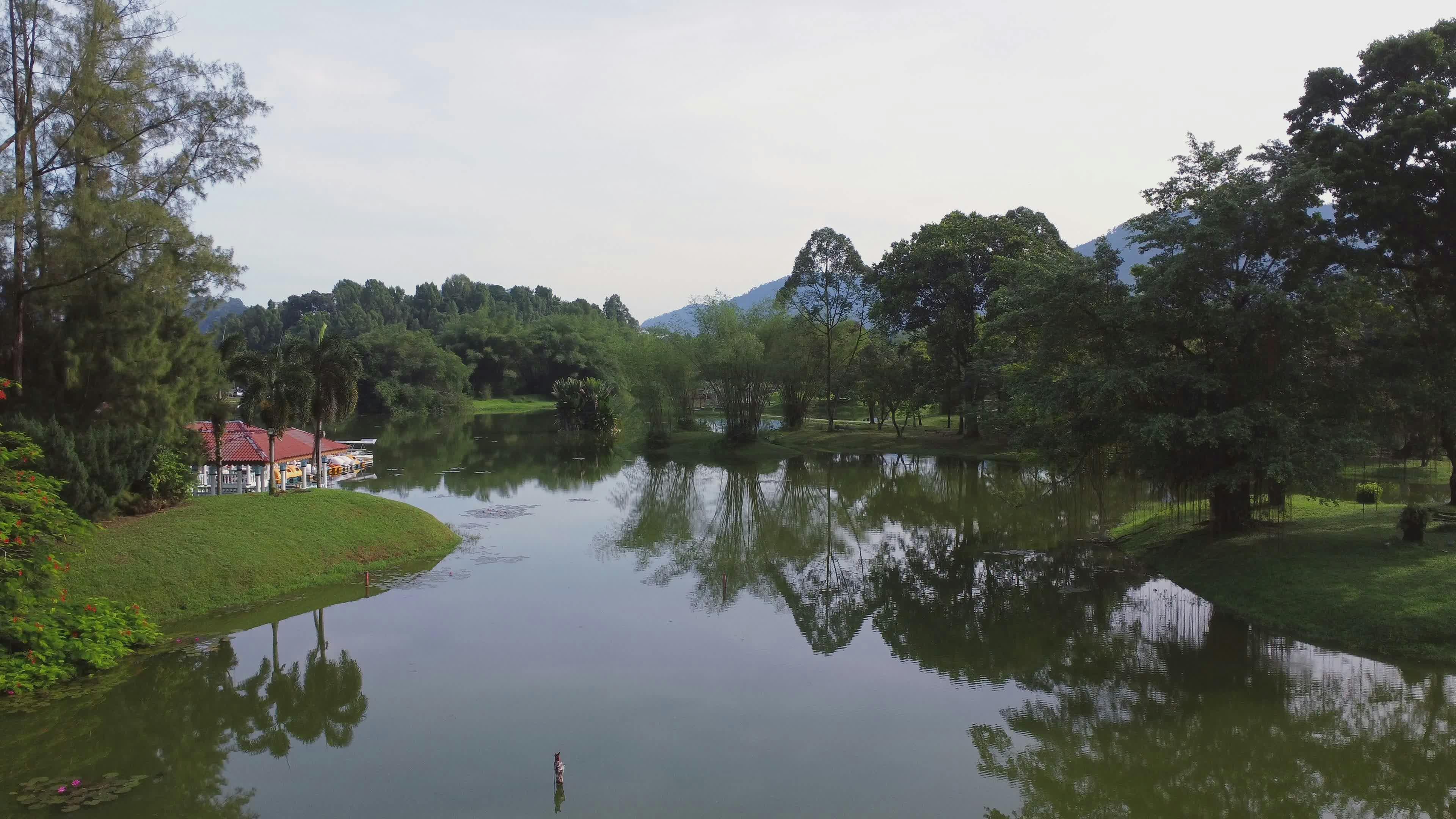 Scenic Drone View of Taiping Lake, Malaysia Free Stock Video Footage ...