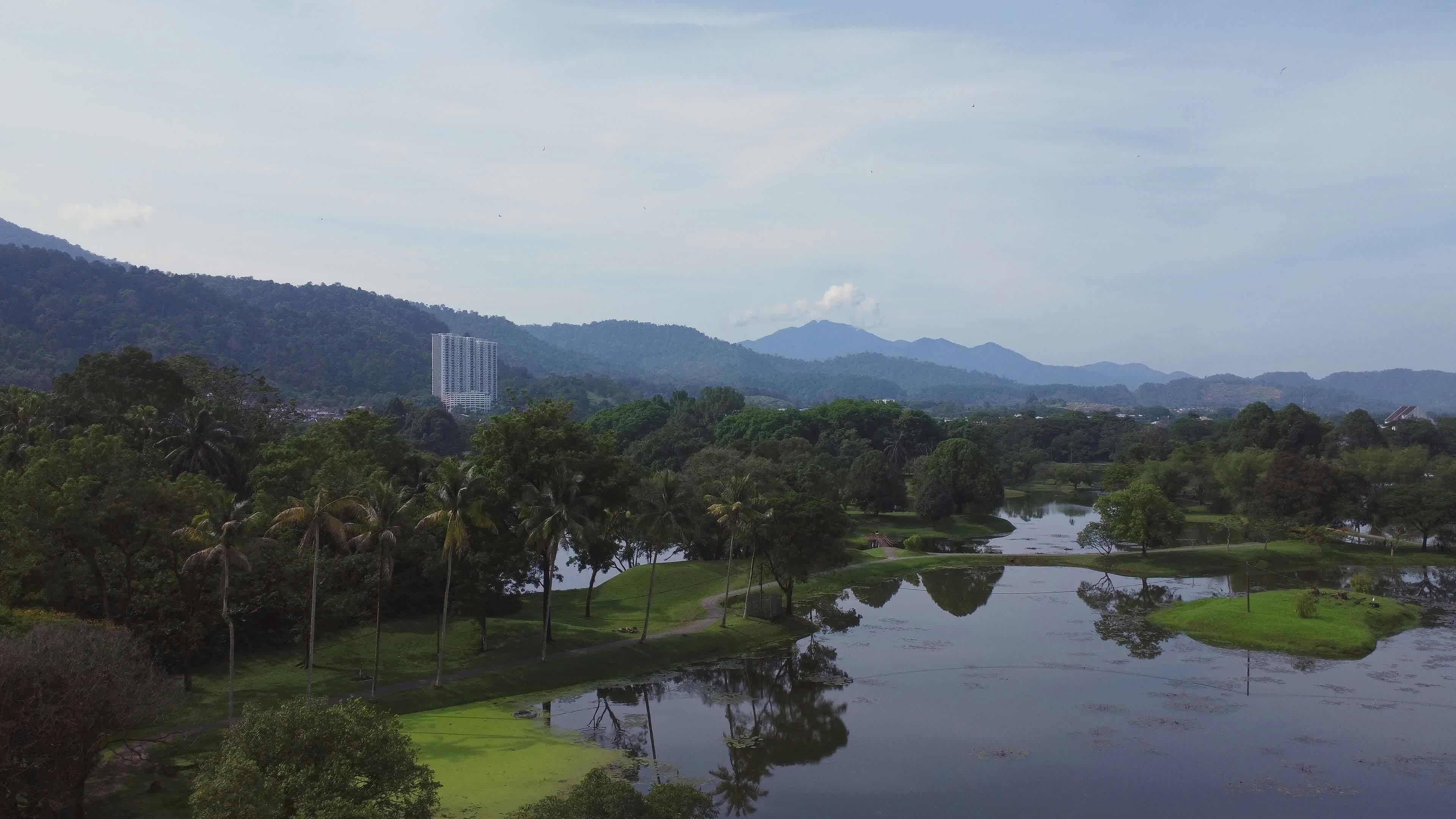 Scenic Drone View of Taiping Lake Gardens Free Stock Video Footage ...