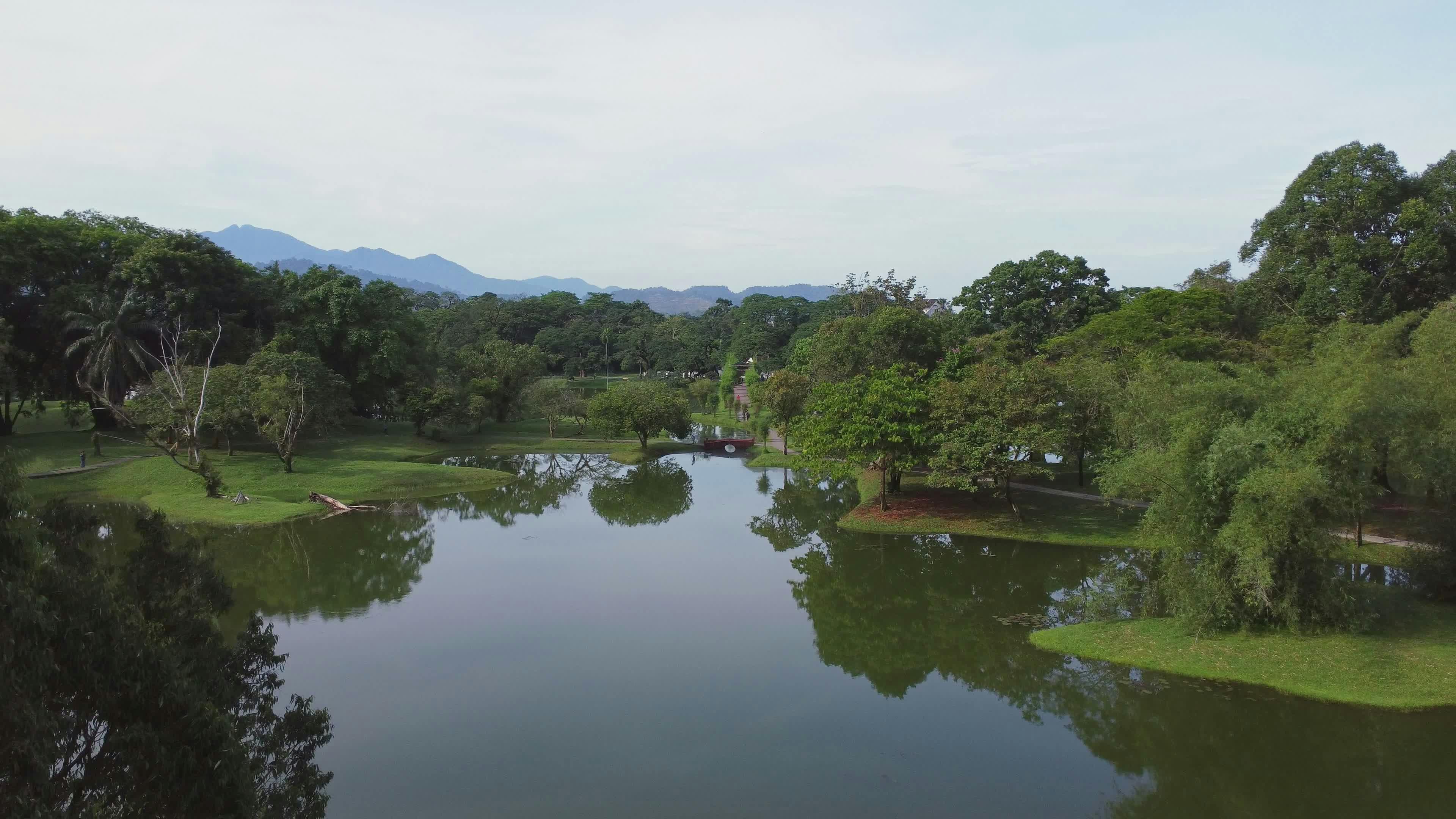 Serene Drone View of Taiping Lake Gardens Free Stock Video Footage ...