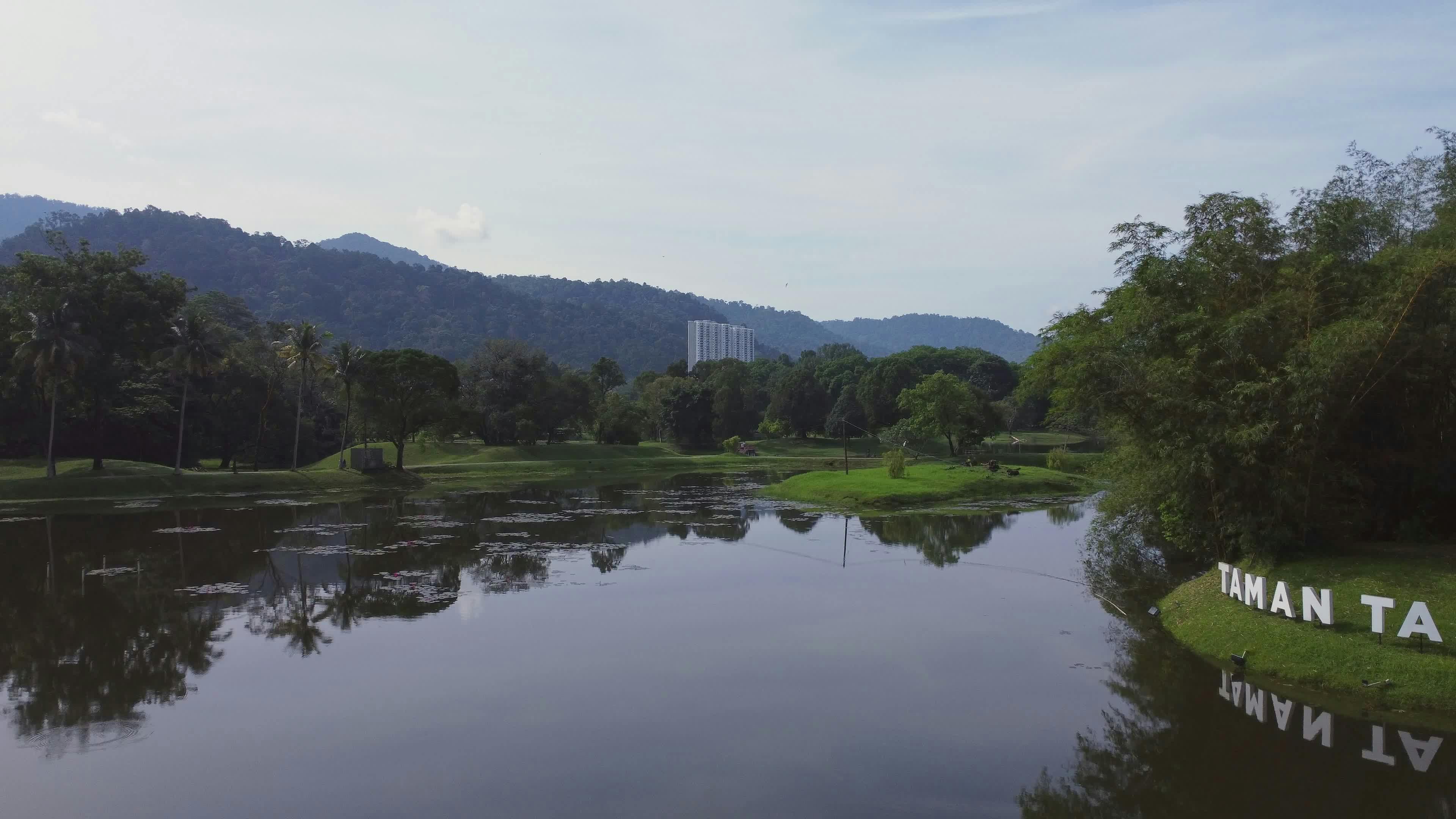 Serene Aerial View of Taiping Lake Gardens Free Stock Video Footage ...