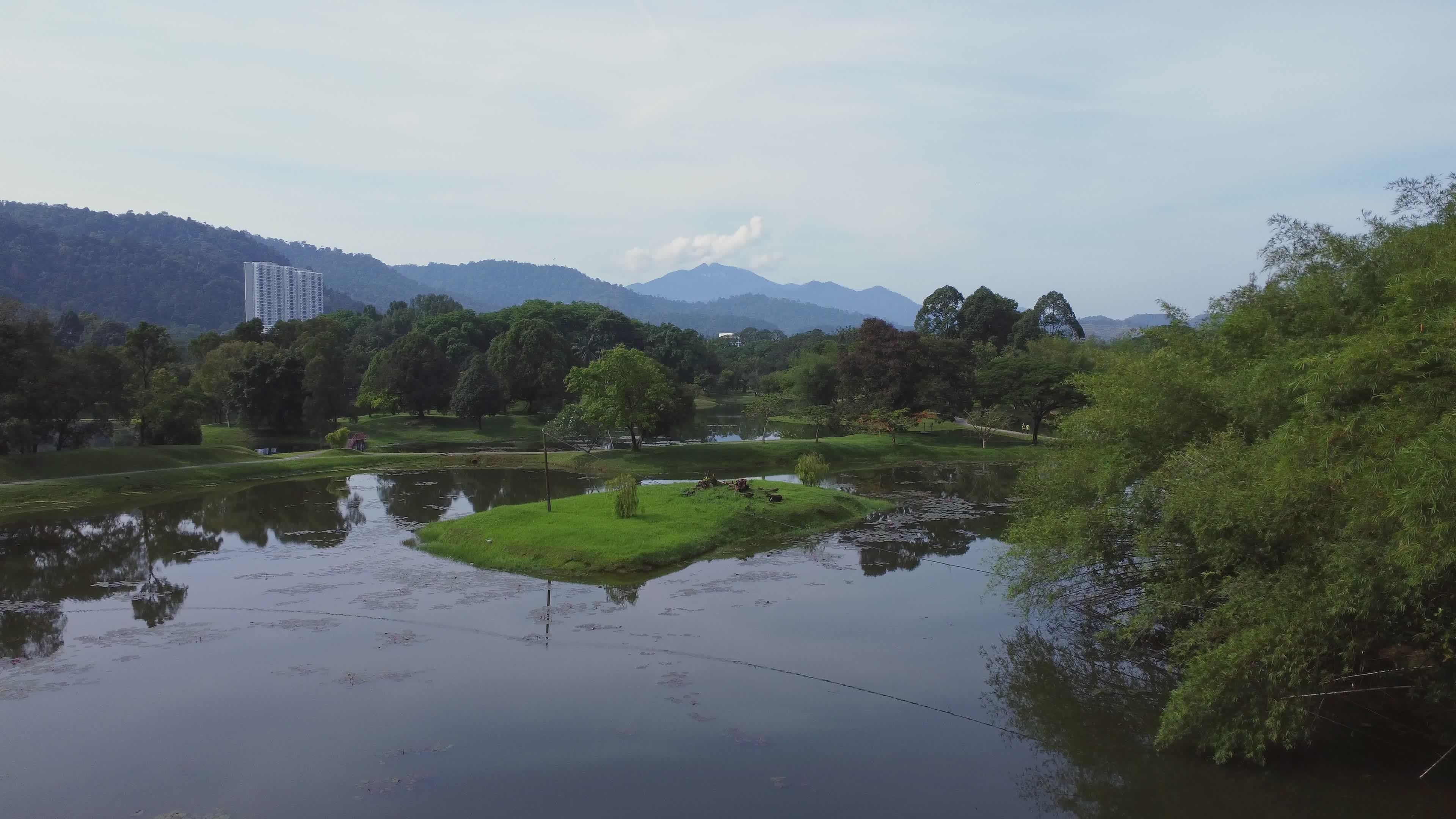 Aerial View of Taiping Lake Gardens in Malaysia Free Stock Video ...
