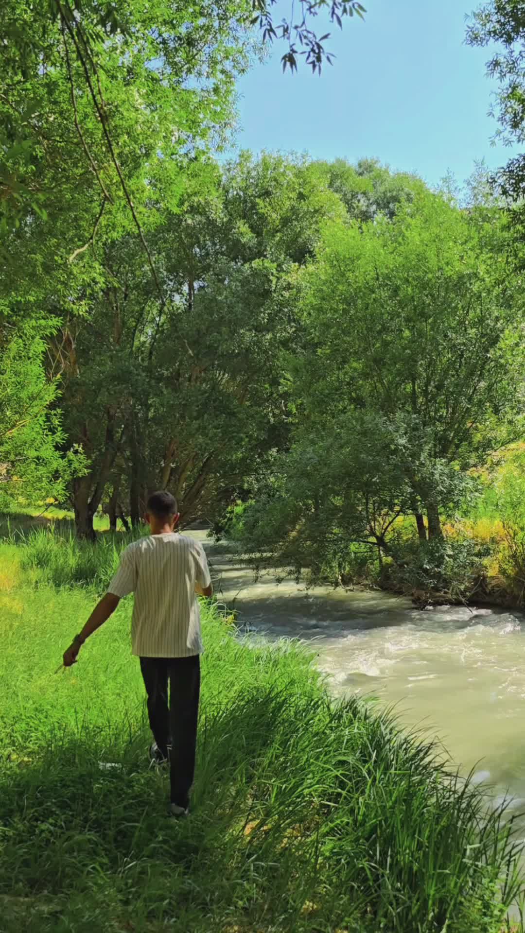 Paseo Tranquilo Por La Naturaleza A Lo Largo De Un Sendero Fluvial ...