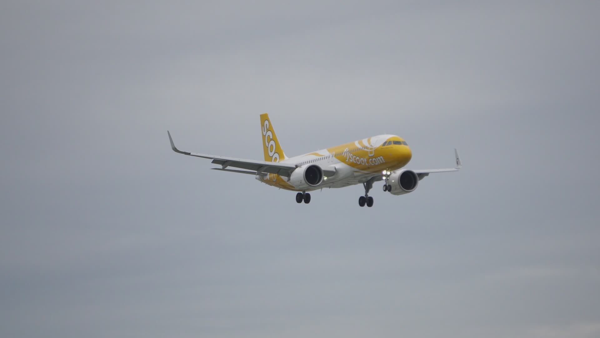 Plane Flying Videos, Download The BEST Free 4k Stock Video Footage ...