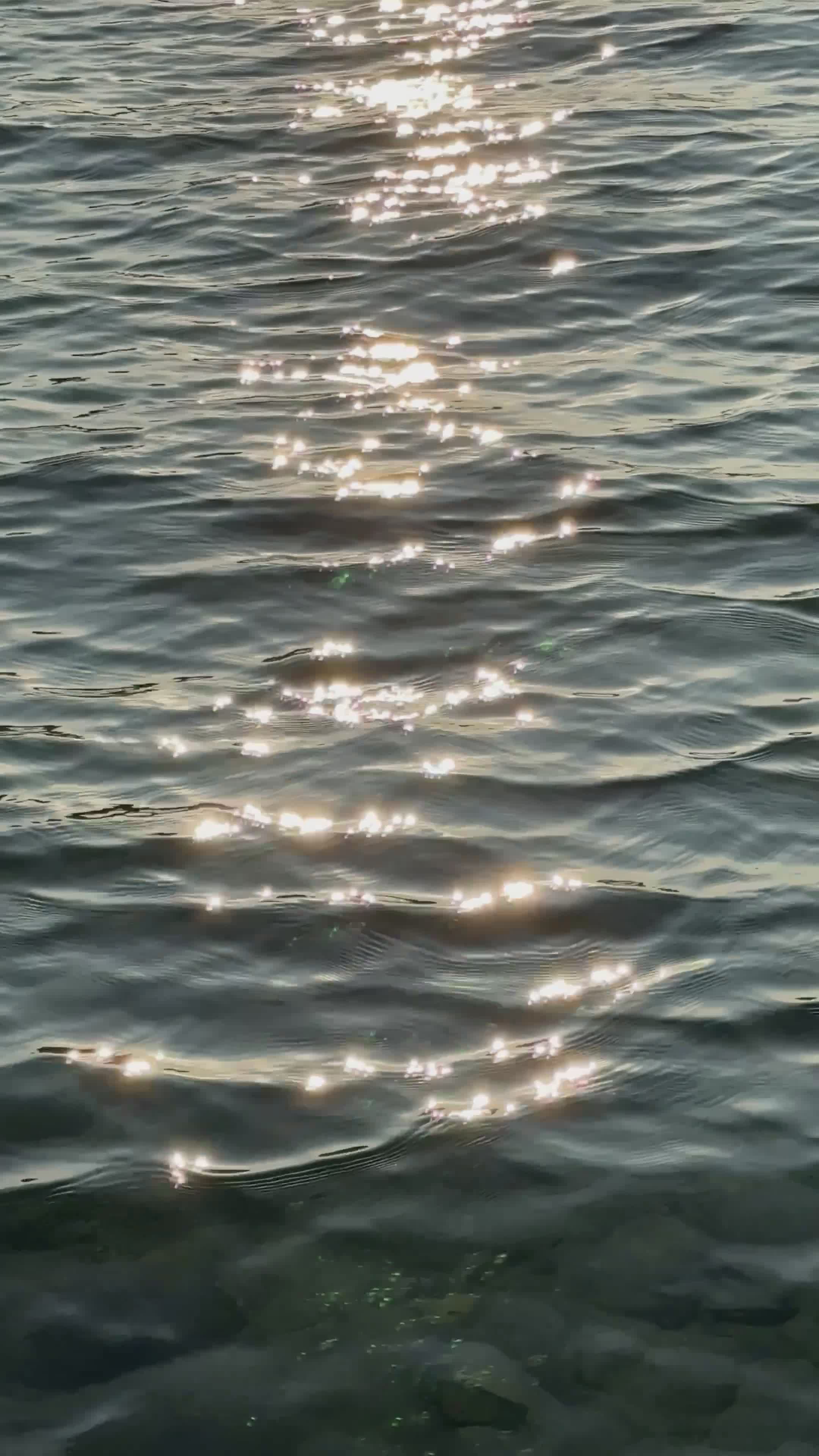 Surface D'eau Sereine Avec Reflets Du Soleil · Vidéo gratuite