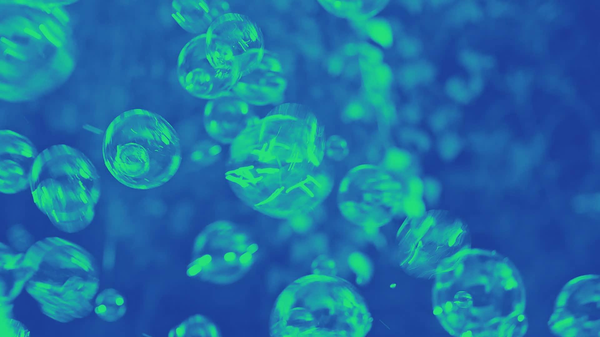 Pop+Nik+Okk+E+E+Li+Link+Enk+Nik+E+Link+Eenik+E+Link+E+Eu+Nik+Eokk+El+O ...