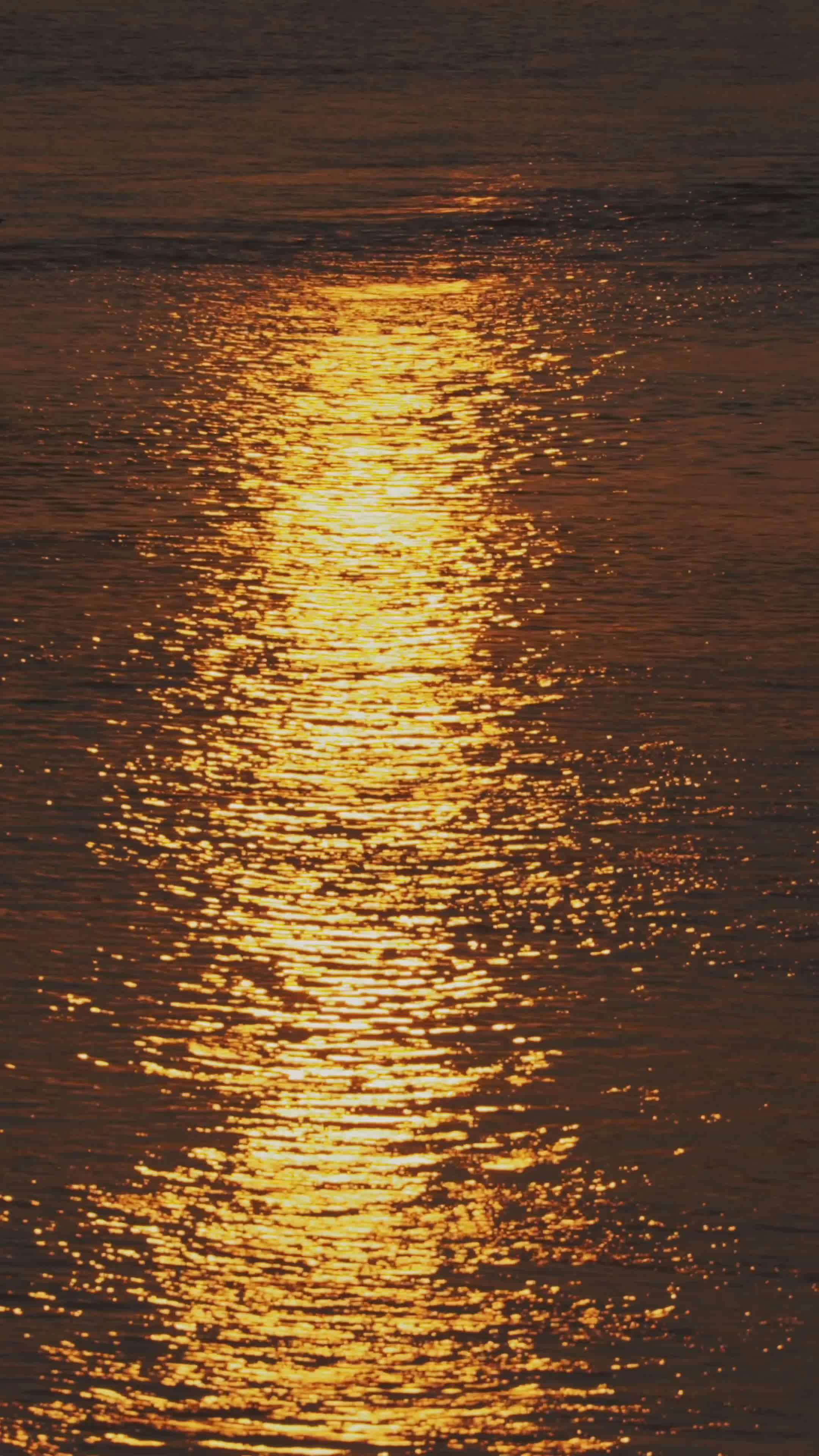 Gold Backround Videos, Download The BEST Free 4k Stock Video Footage ...