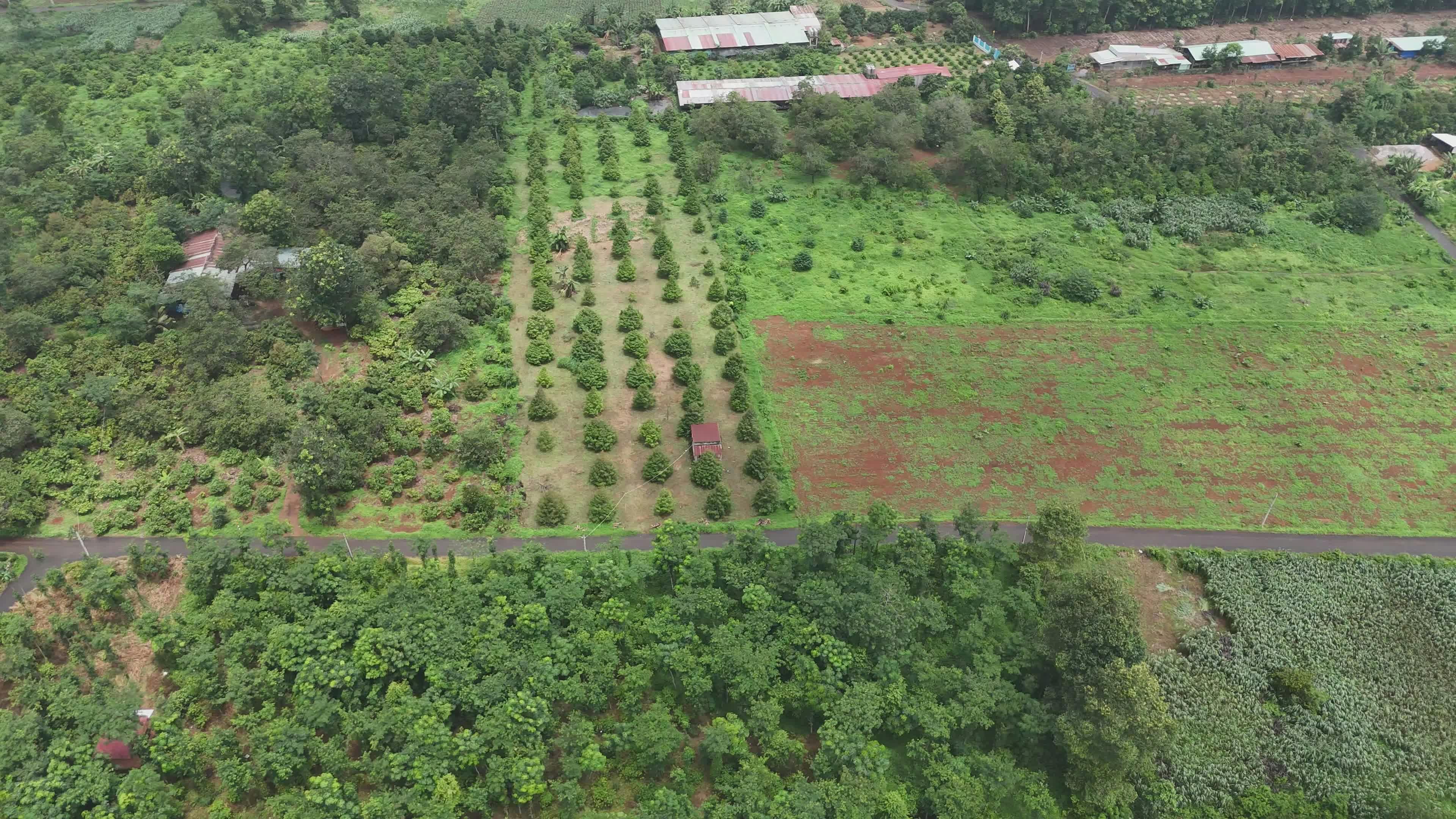 Drewniane Plots Videos, Download The BEST Free 4k Stock Video Footage ...