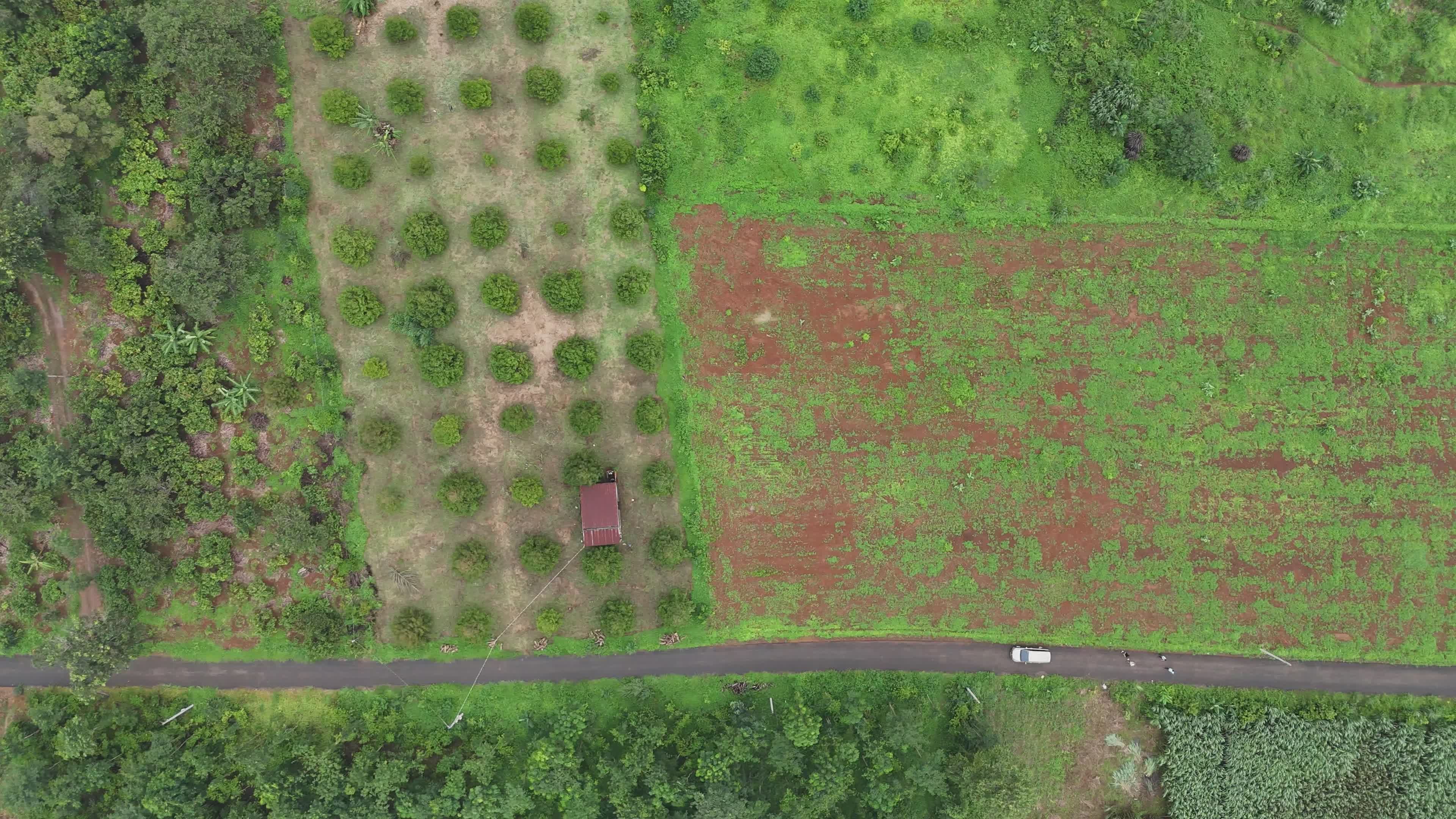 Aerial View of Lush Farmland and Rural Road Free Stock Video Footage ...