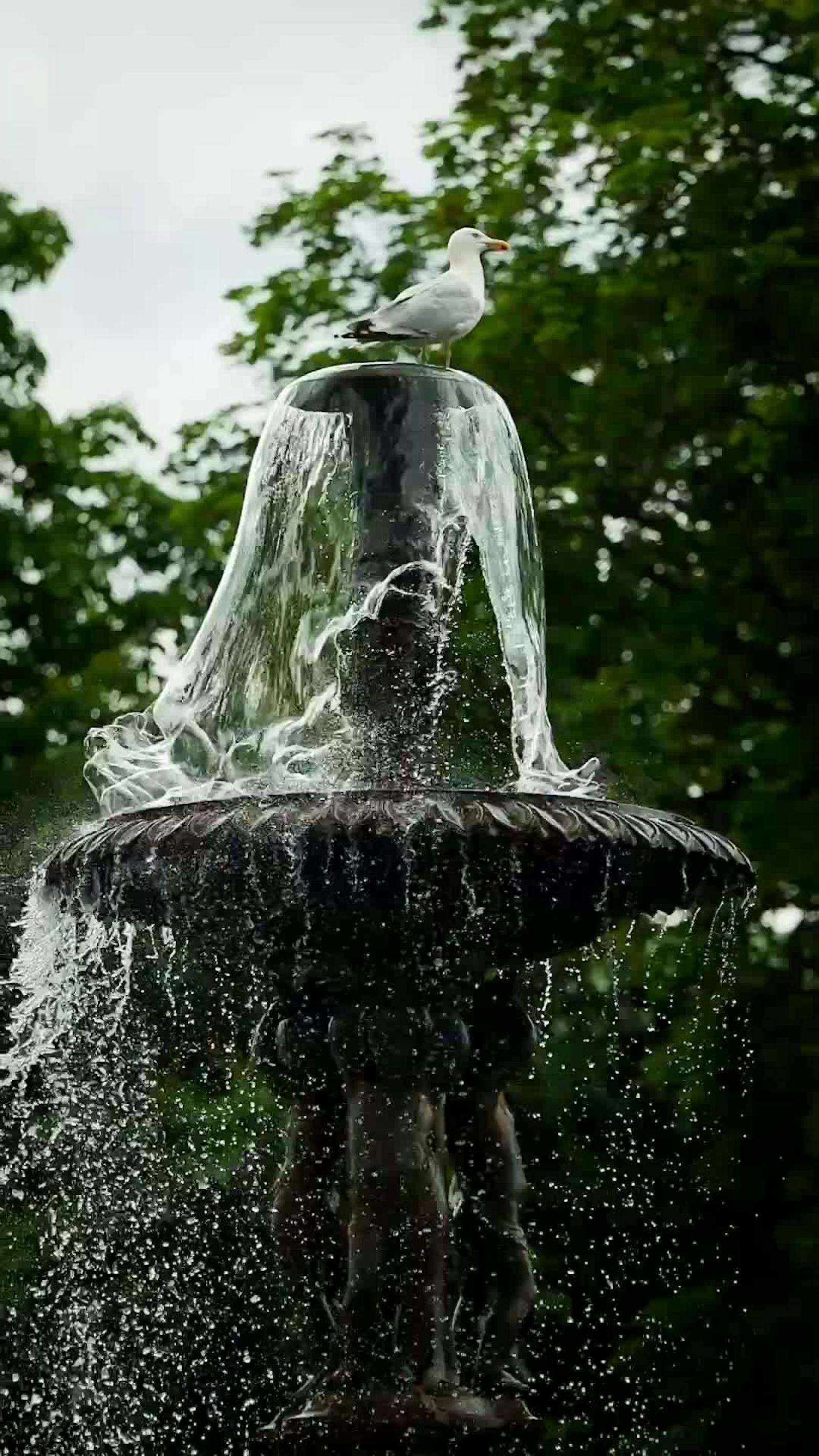 Audio+Video+Salon Videos, Download The BEST Free 4k Stock Video Footage ...