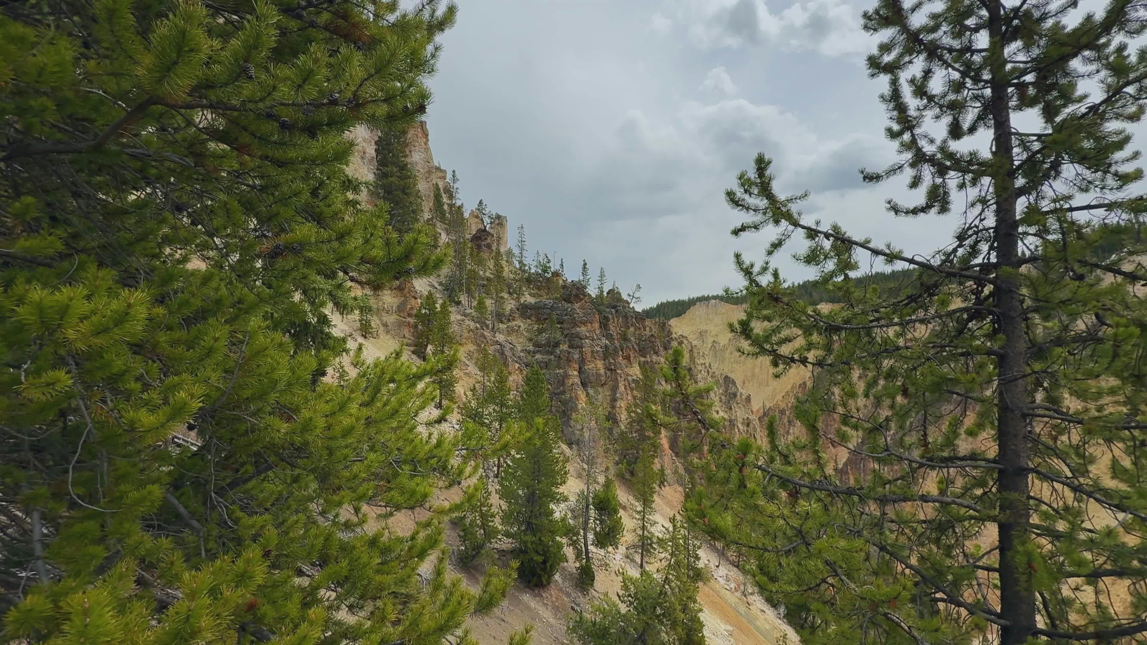 Biodiversity And Conservation Videos, Download The BEST Free 4k Stock ...