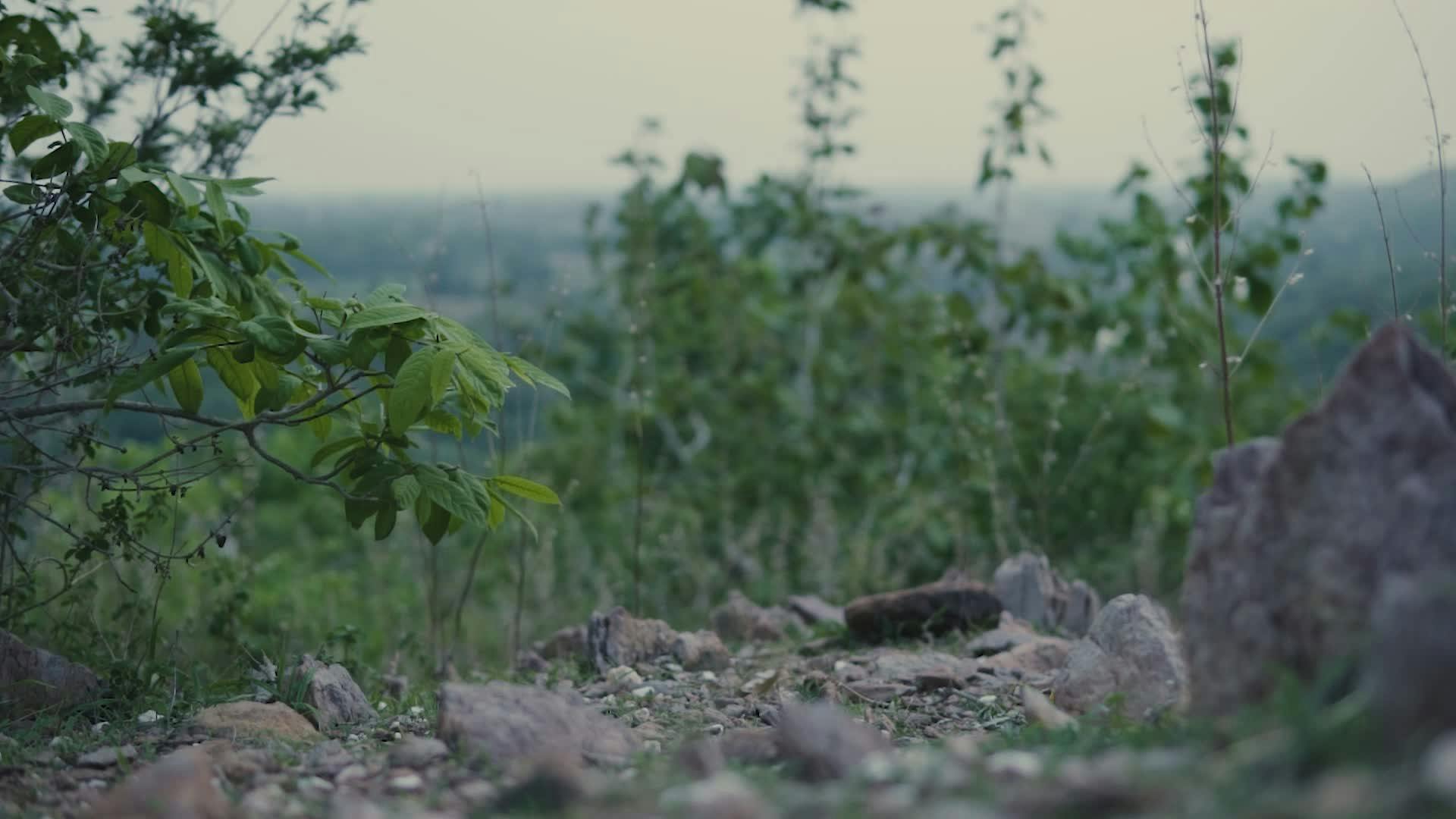 Fitness Ap Videos, Download The BEST Free 4k Stock Video Footage ...