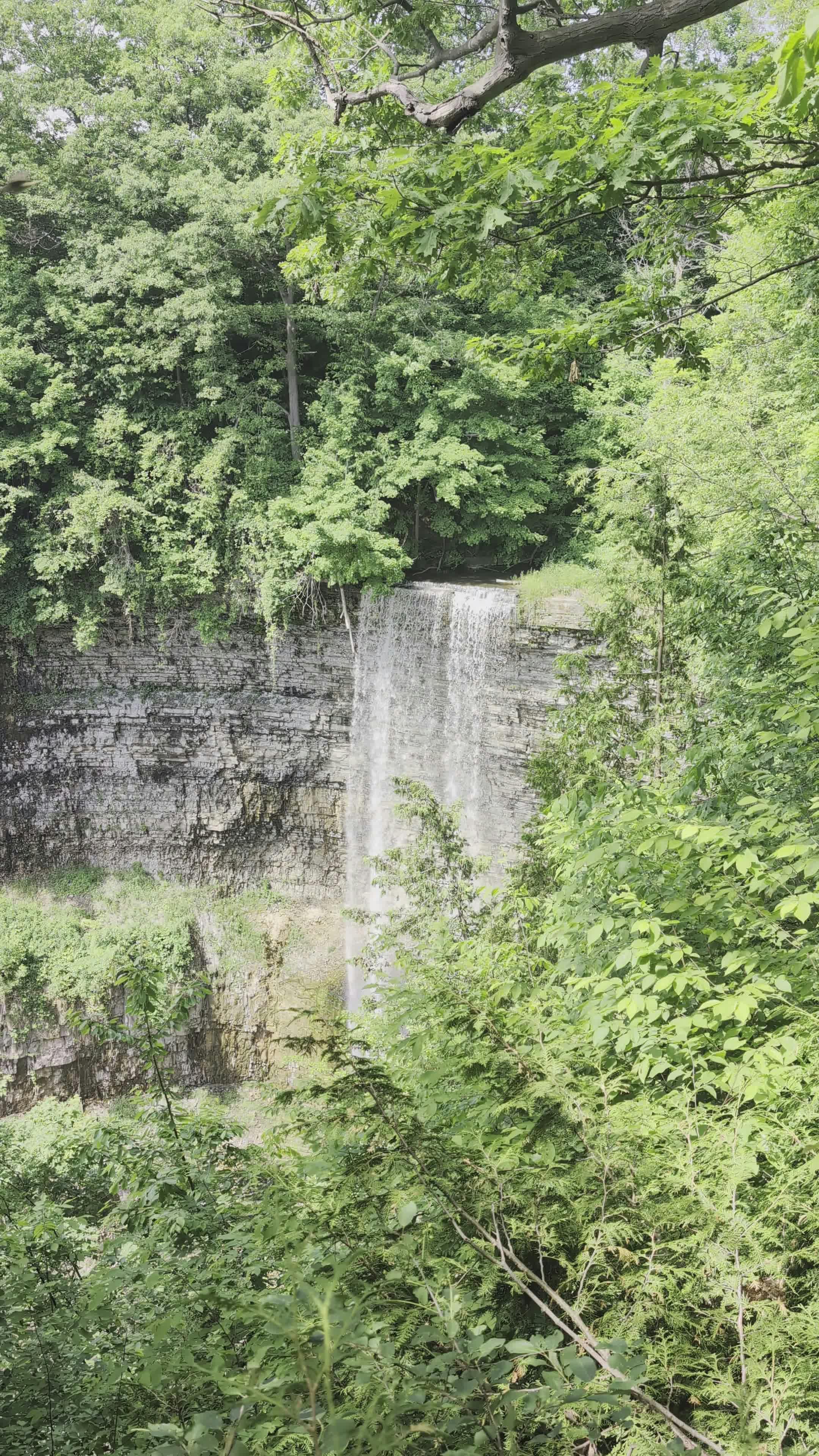 Creek Ii Movie Videos, Download The BEST Free 4k Stock Video Footage ...