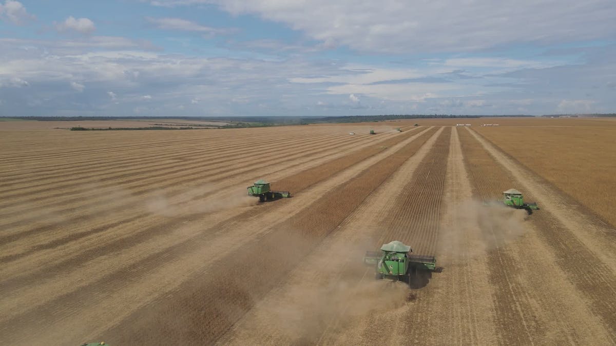 S1mple+Signing+Camera+Wallpaper Videos, Download The BEST Free 4k Stock ...