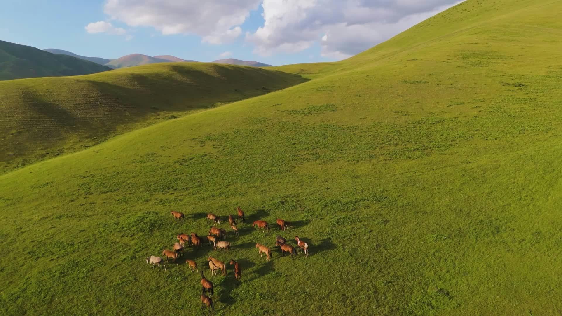 Plateau Of The Tepuis Videos, Download The BEST Free 4k Stock Video ...