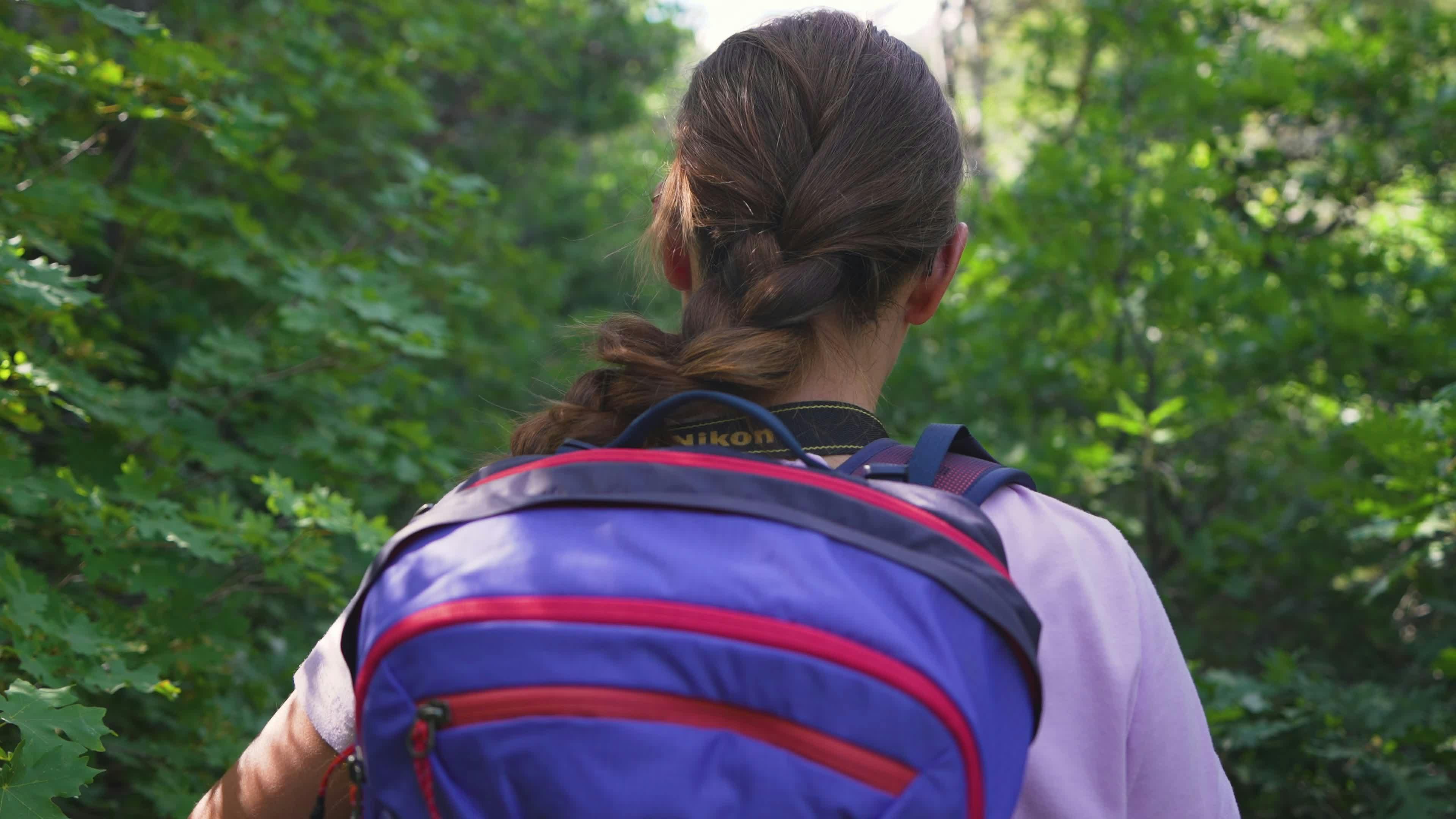 Nice Capture Videos, Download The BEST Free 4k Stock Video Footage ...