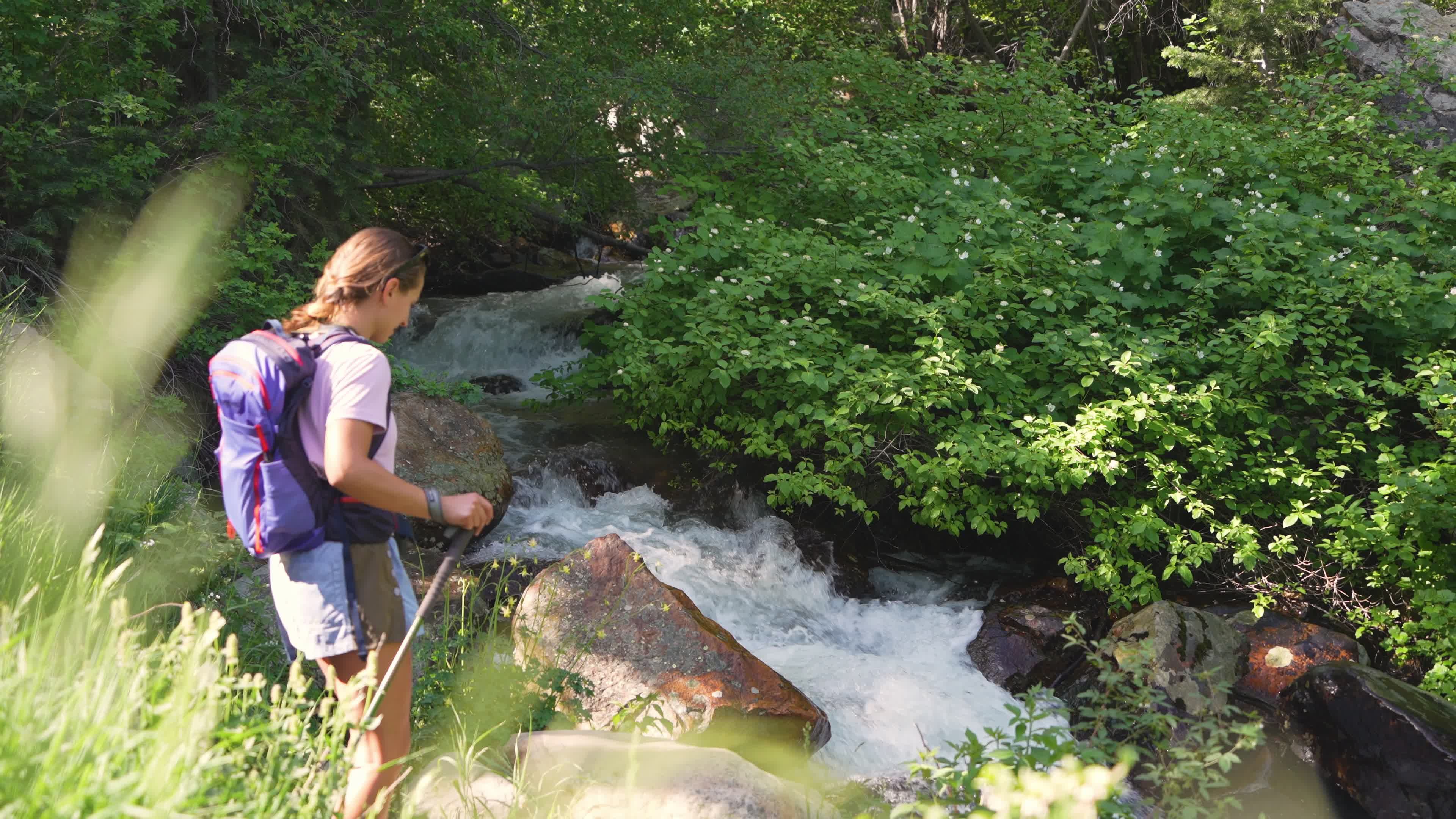 Woman Hiking by Mountain Stream in Utah Free Stock Video Footage ...