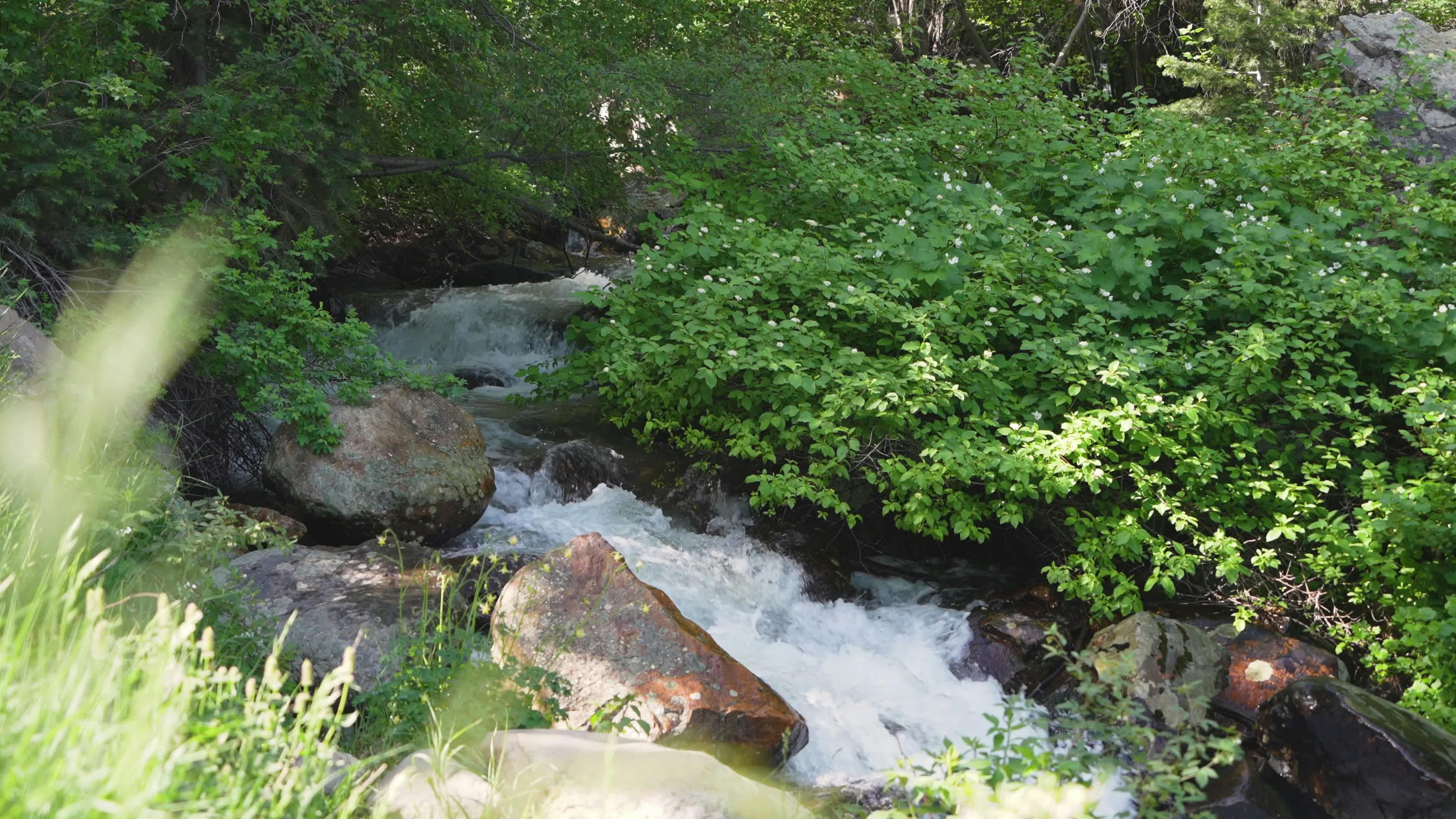 6mb Water Videos, Download The BEST Free 4k Stock Video Footage & 6mb ...