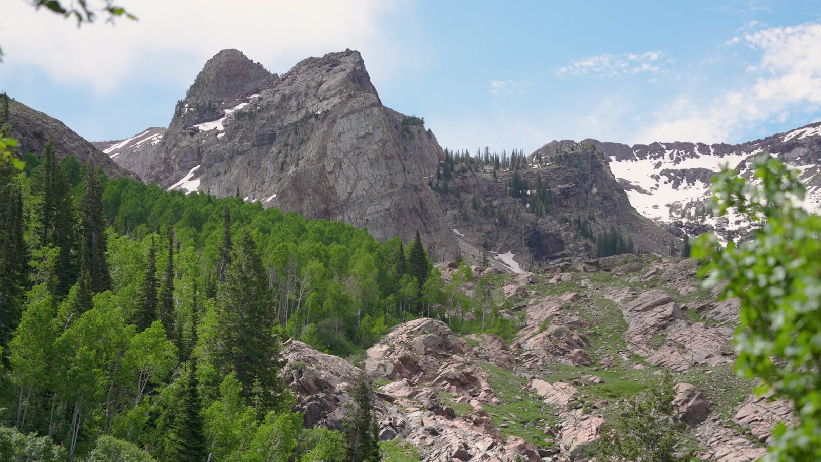 Bing+AI+Hig+Big+Chug+Big+Vjh+For+B+Vjh+Gh+Bi+Hh+Big+G+Ig+Vjh+V+V+B+Vjh ...